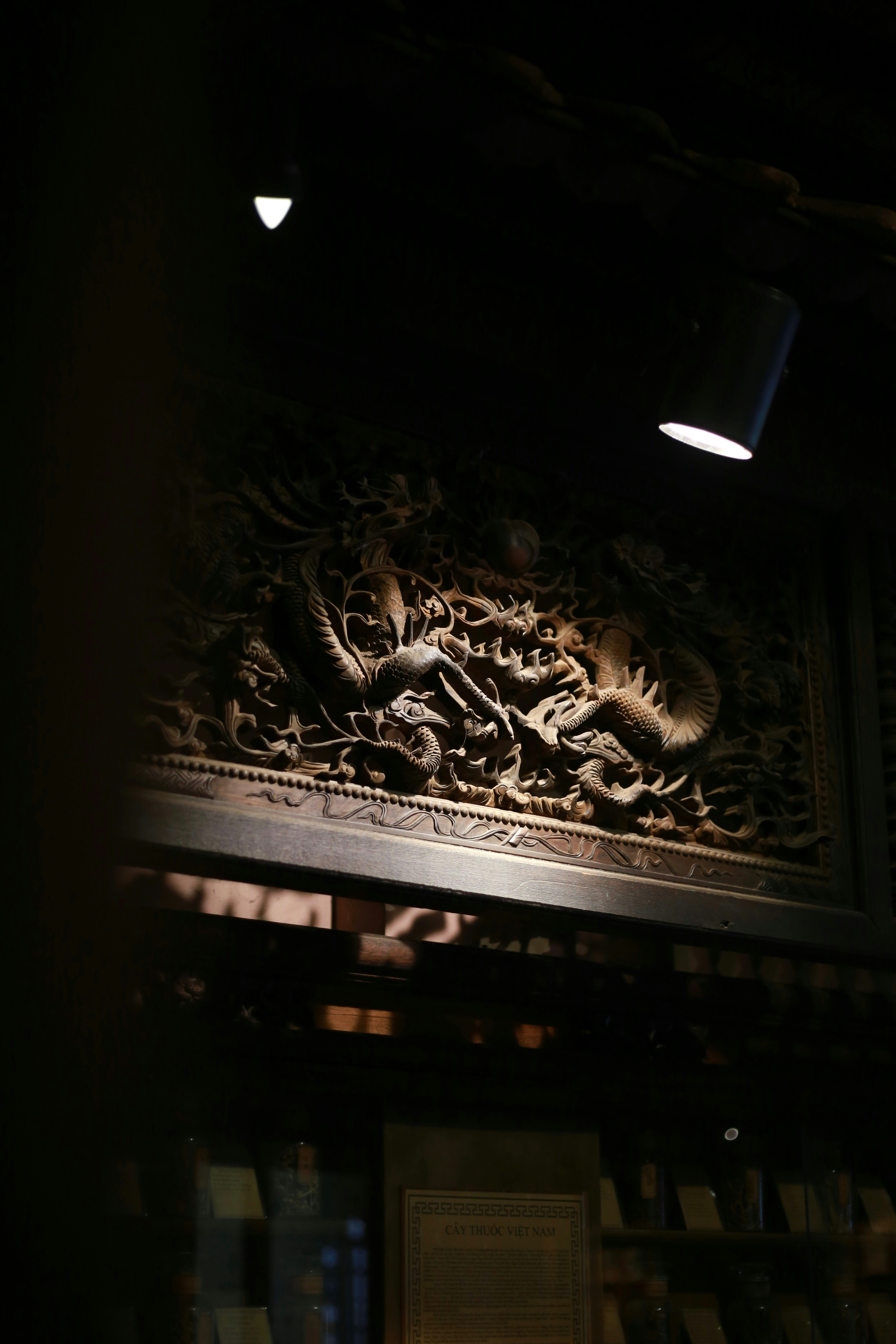 Dragons in the Shadows: A Tale of Intricate Craftsmanship
