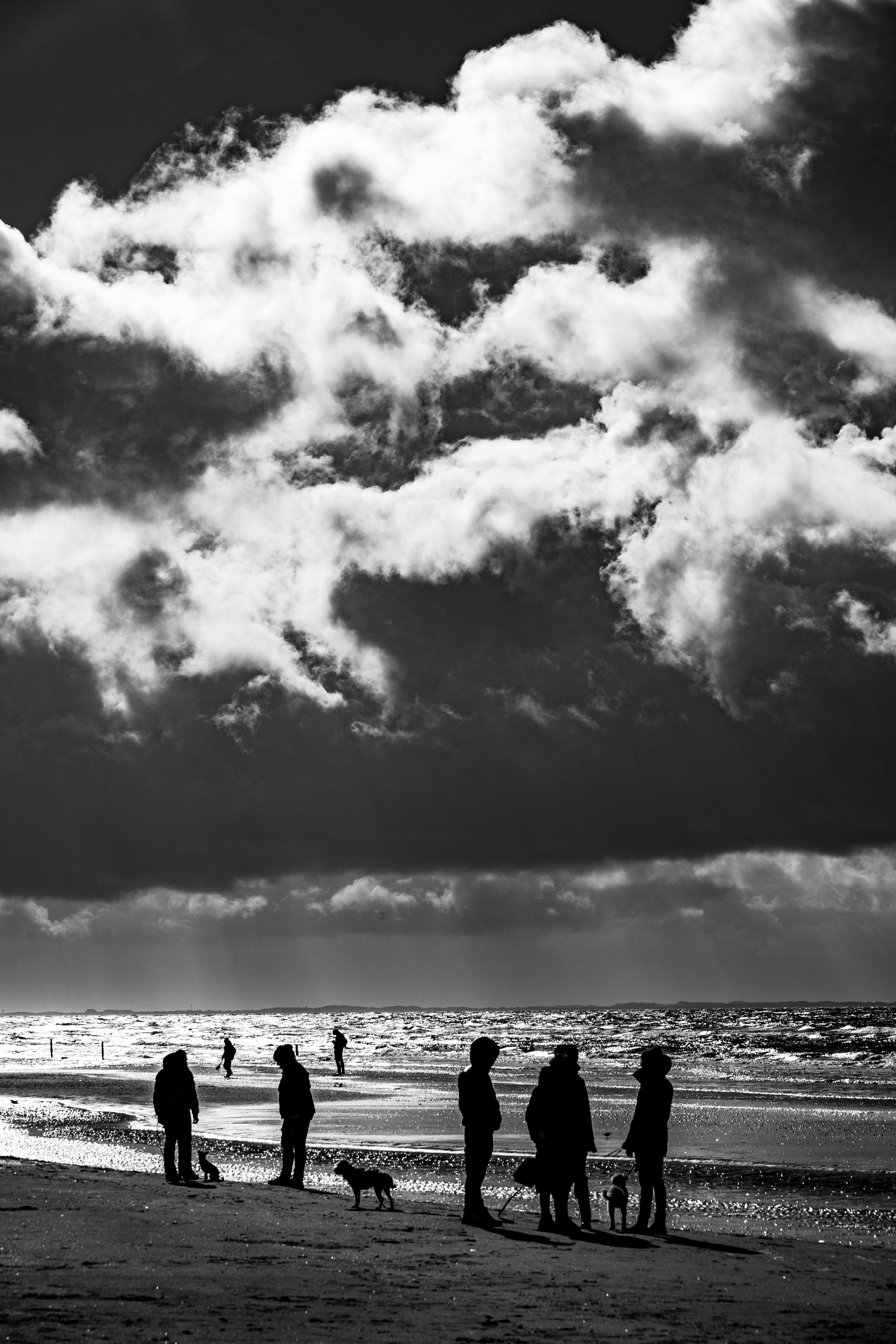 Shadows Along the Tide: Silhouettes Gather Under a Stormy Sky on a Wind-Swept Beach