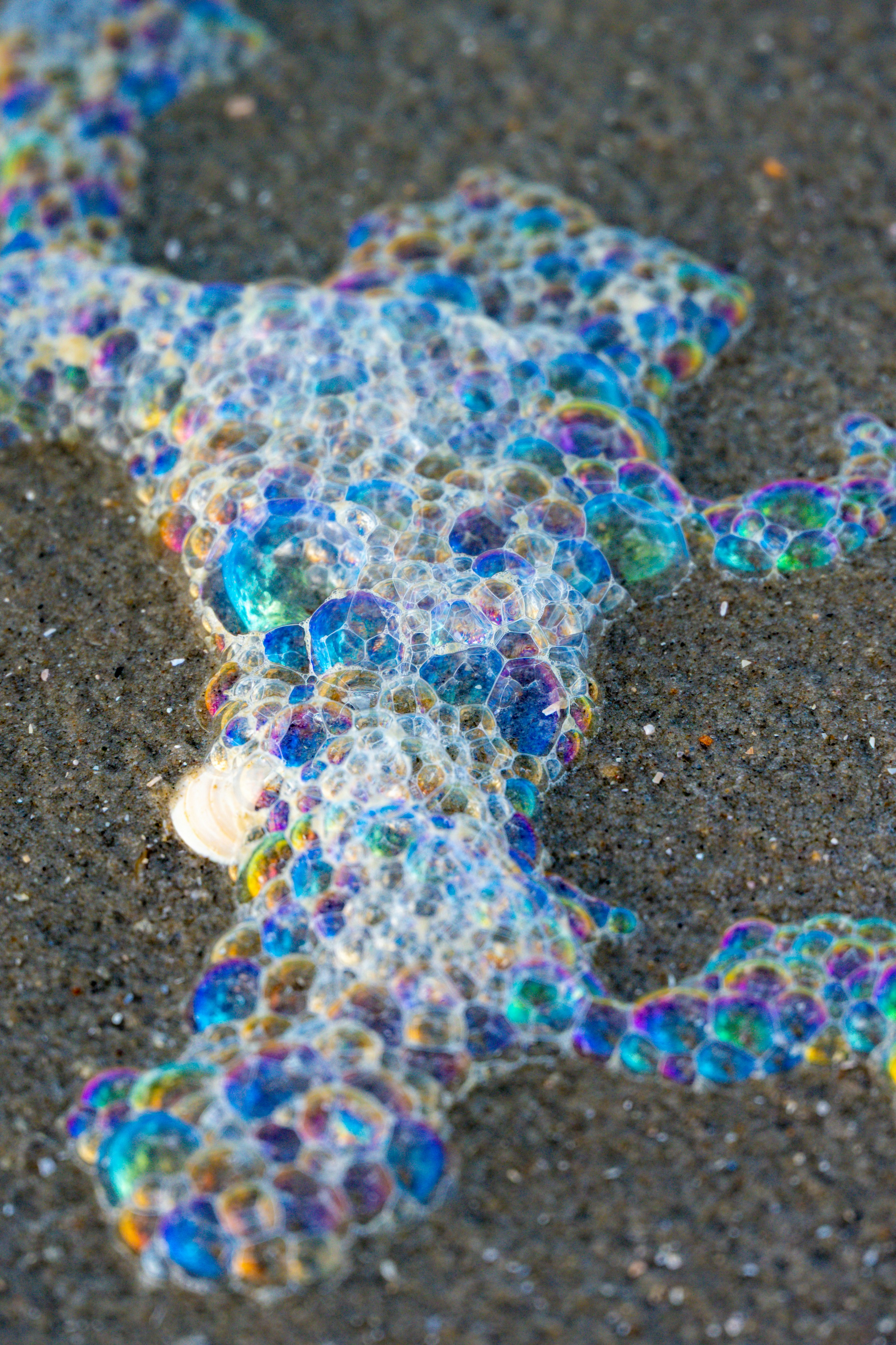 Whimsical Dance of Ocean Bubbles