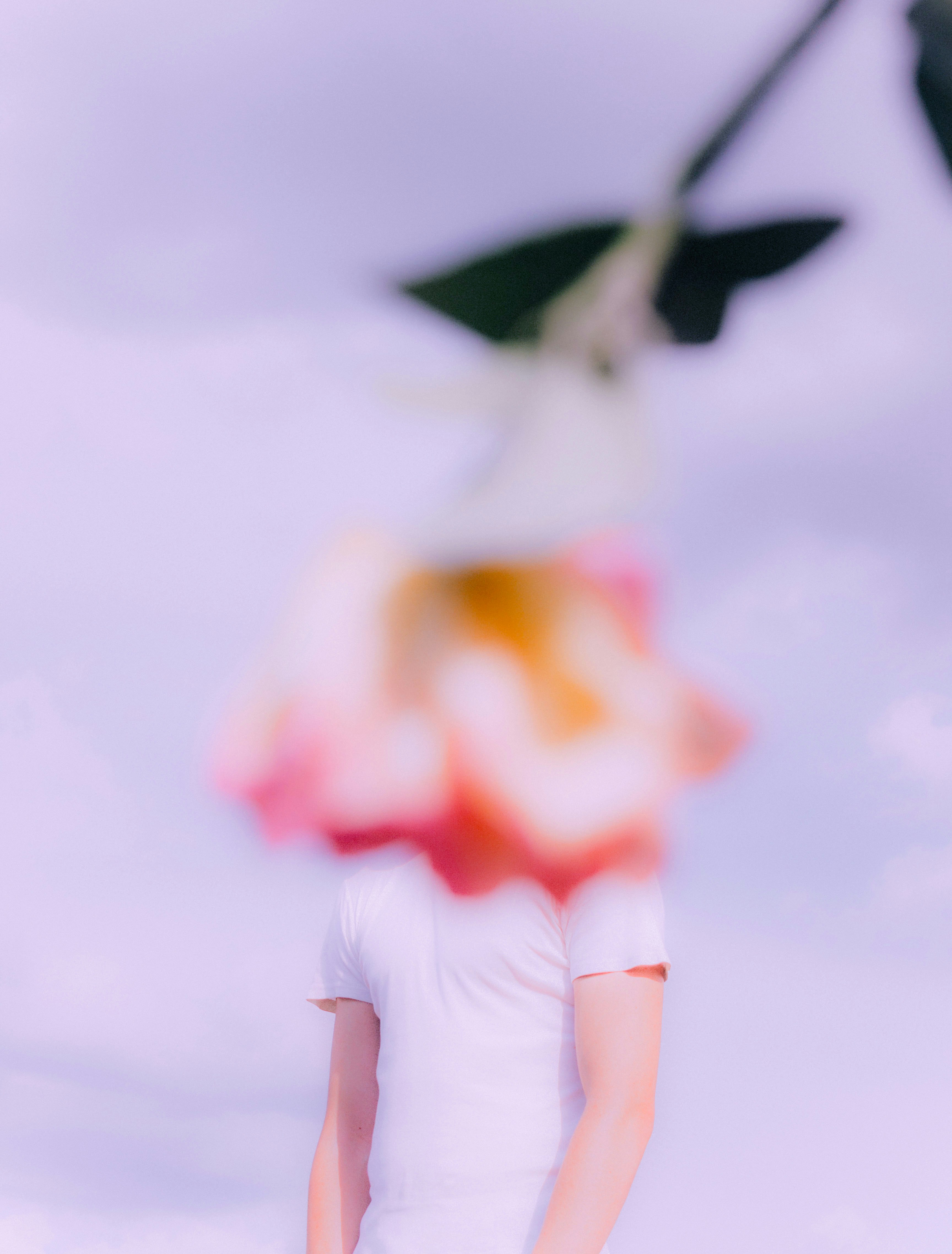 Whispers of Nature: A Floral Encounter