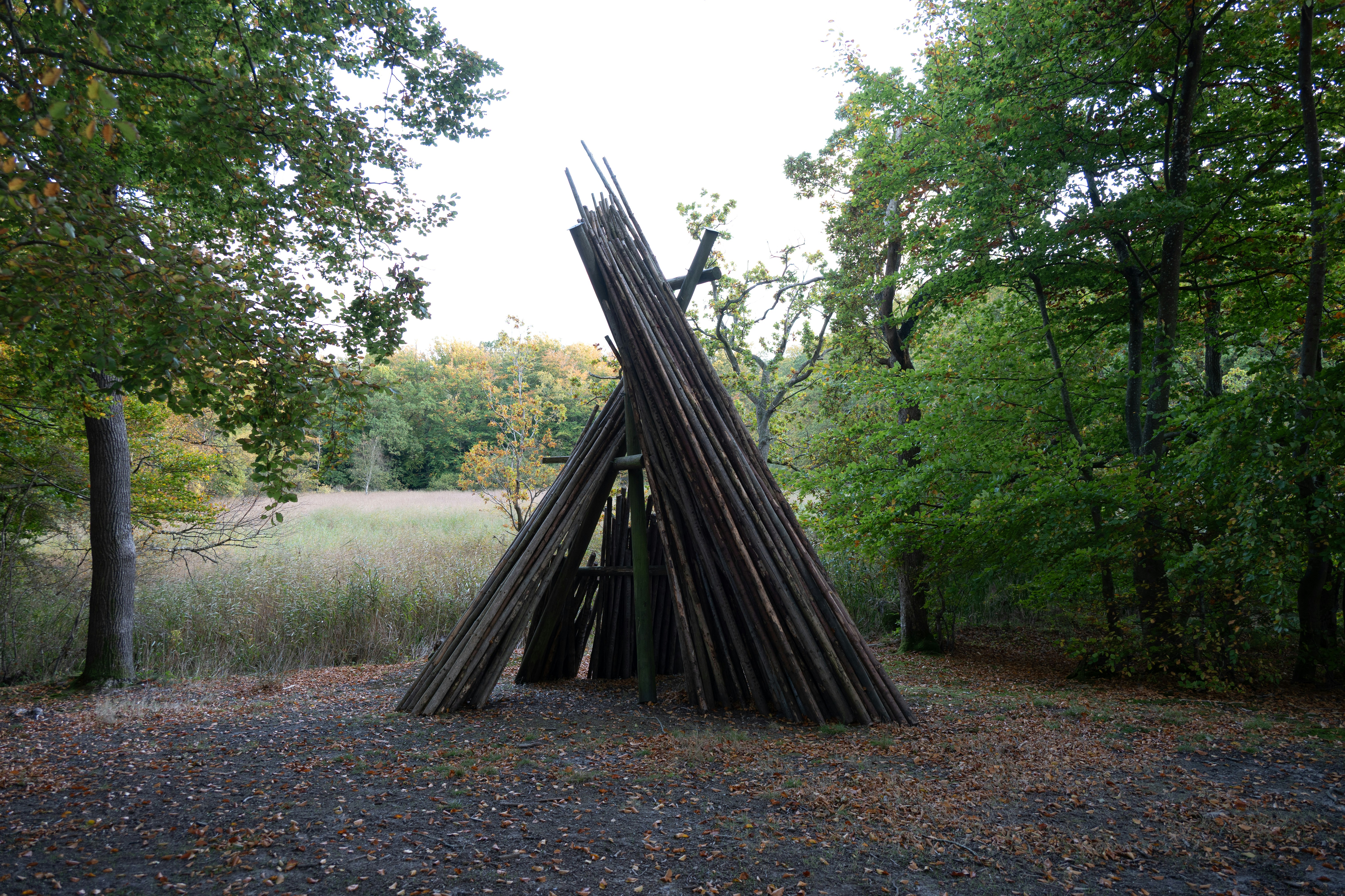 Nature's Rustic Shelter: A Woodland Retreat