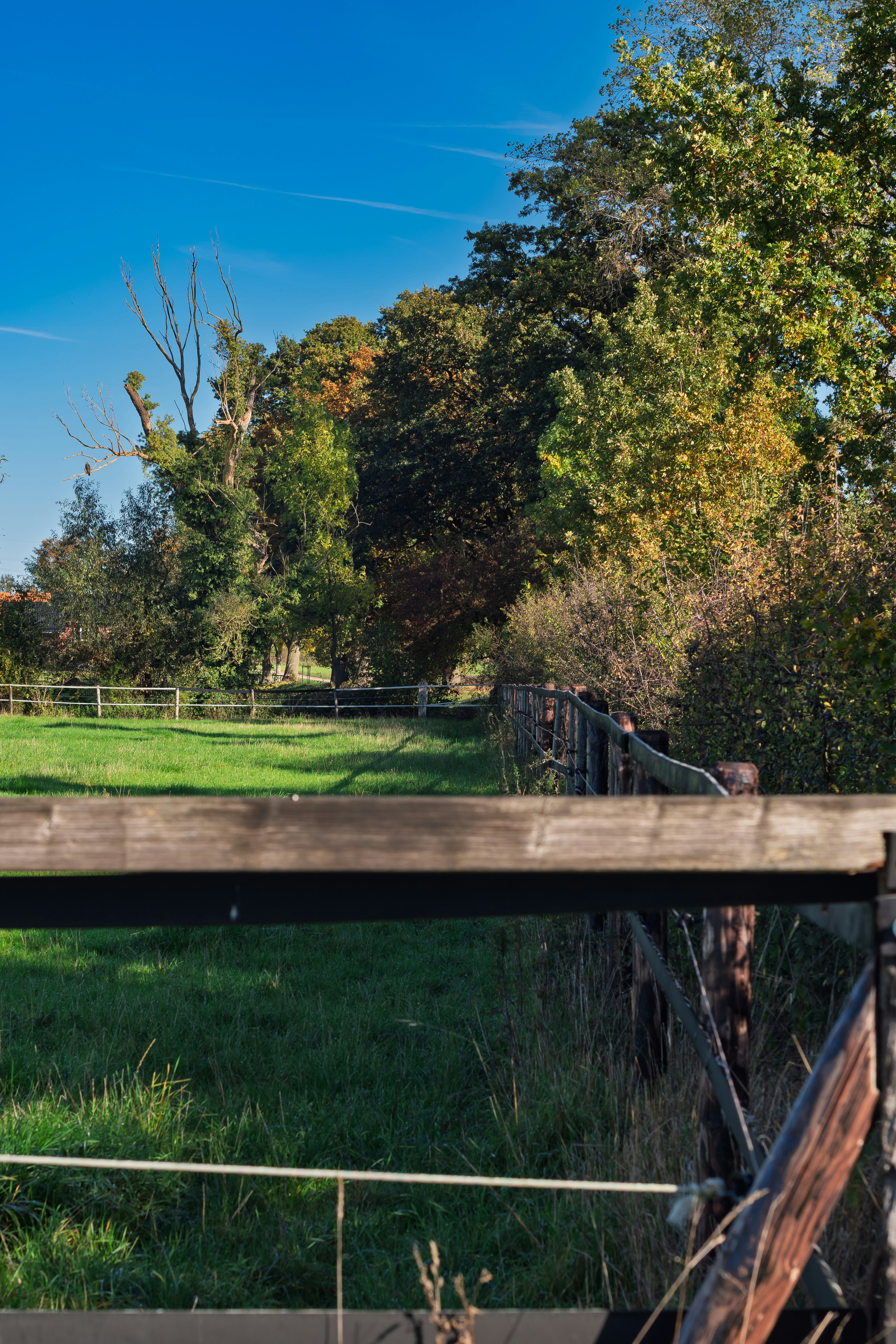 A Serene Pastoral Escape
