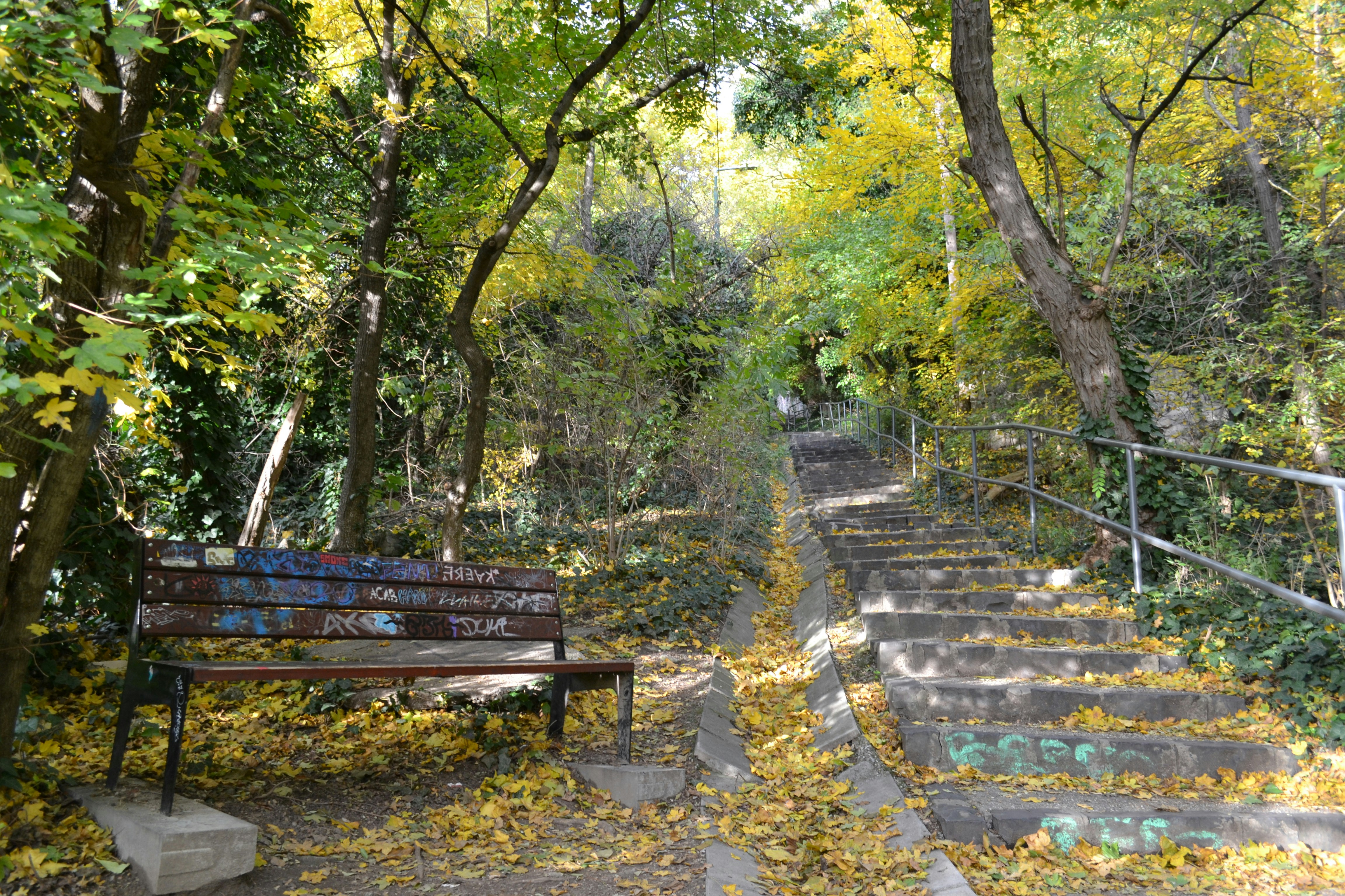 Whispers of Autumn: A Pathway to Reflection