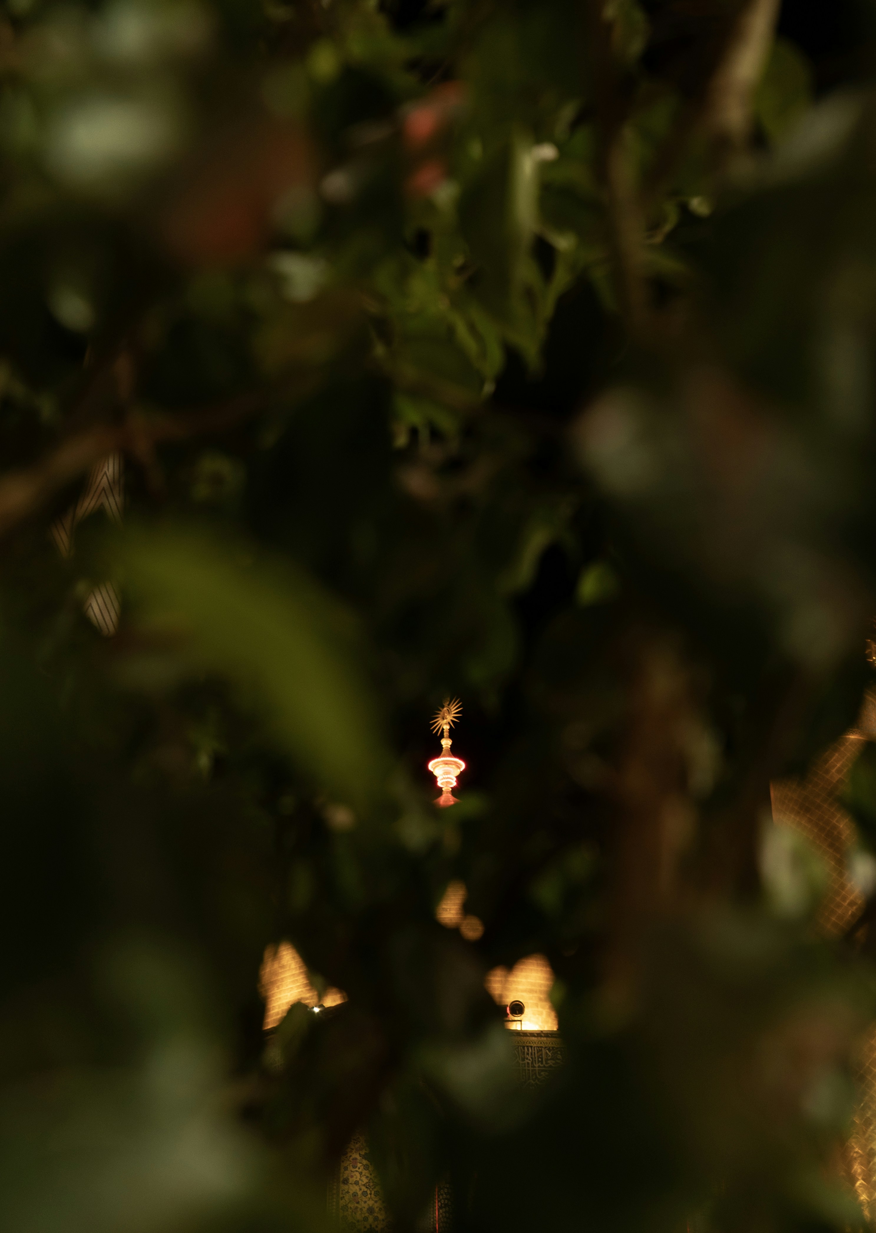 Lantern in the Green Veil: a quiet night portrait through leaves