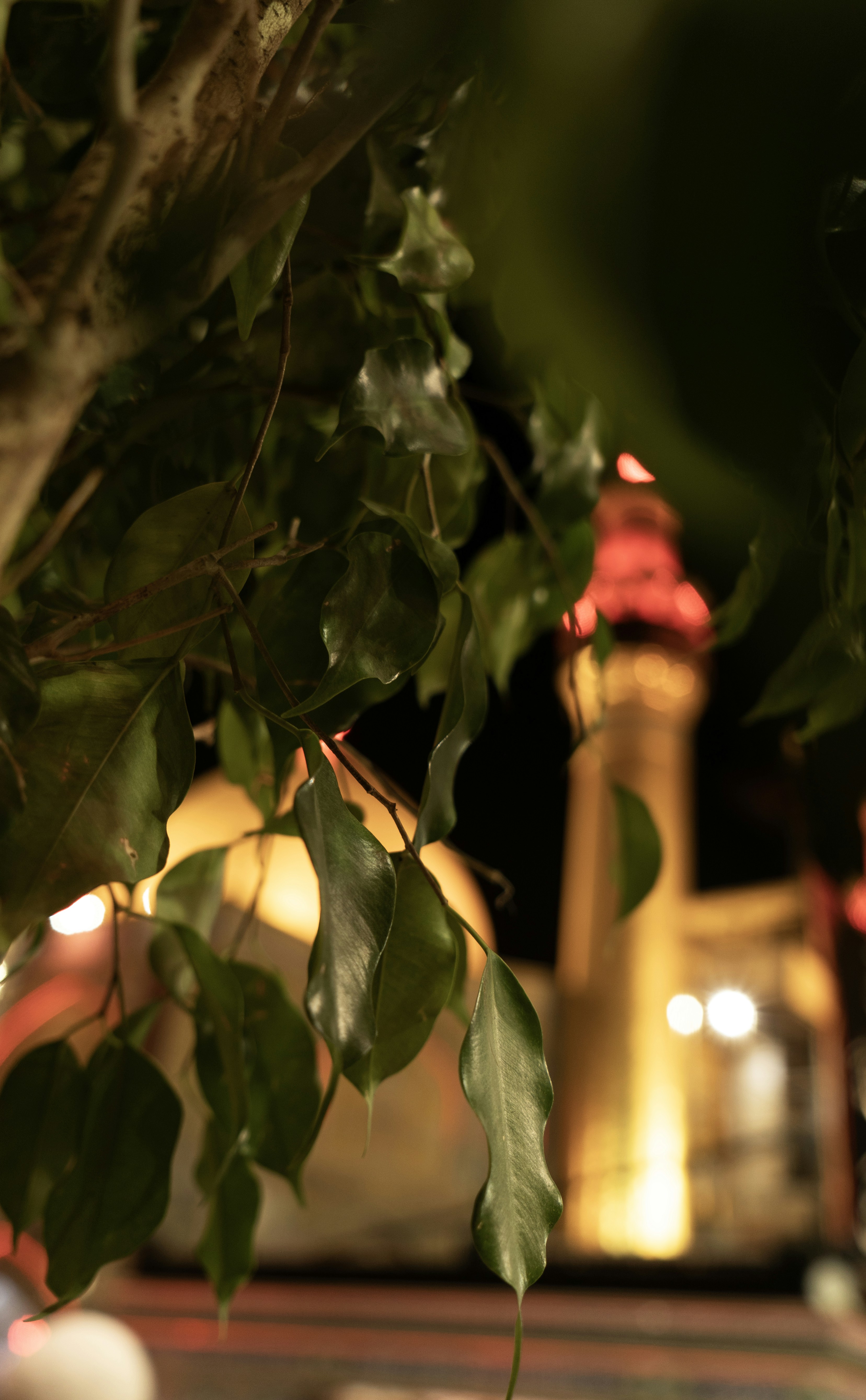 Holy shrine of Imam Ali pbuh, Najaf arbaeen | Golden dome and minaret illuminated at night