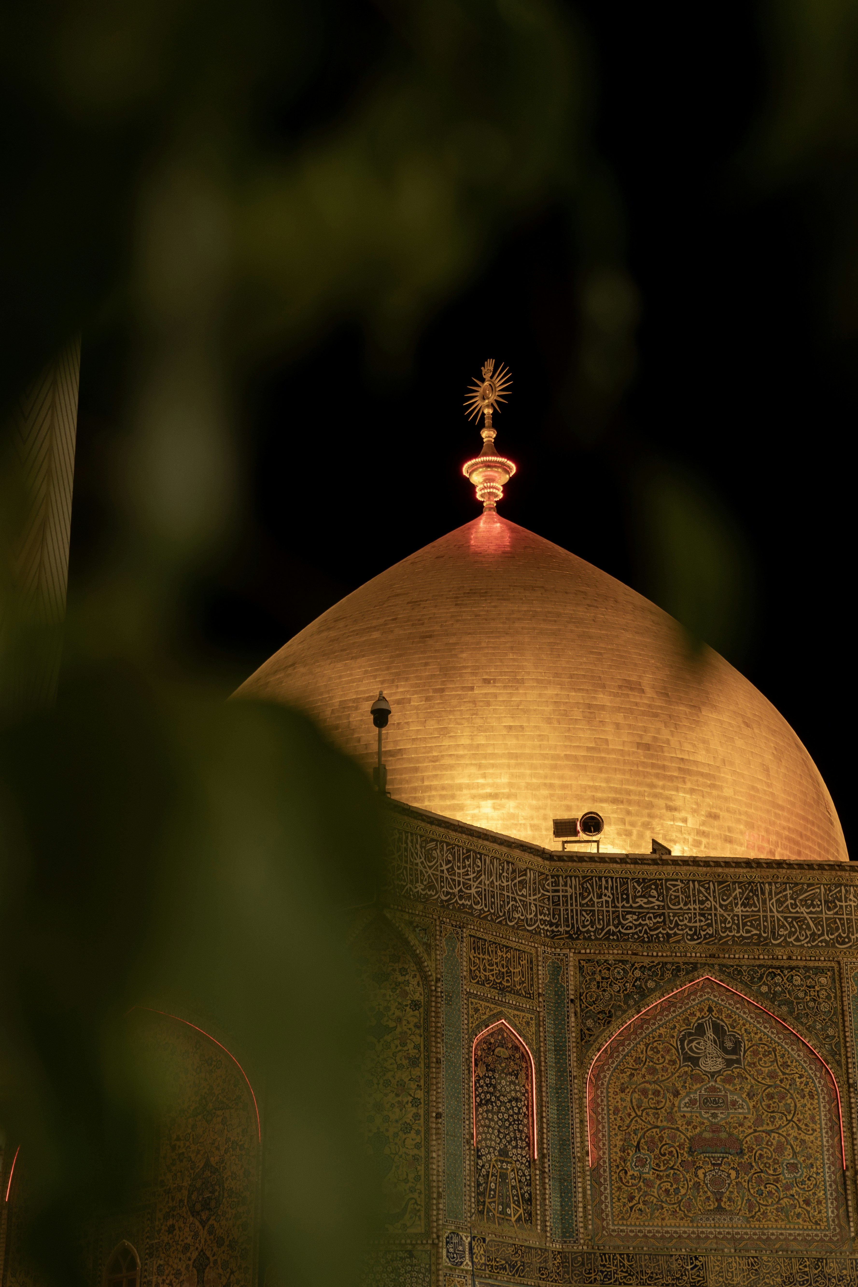Gilded Dome Framed by Night and Foliage