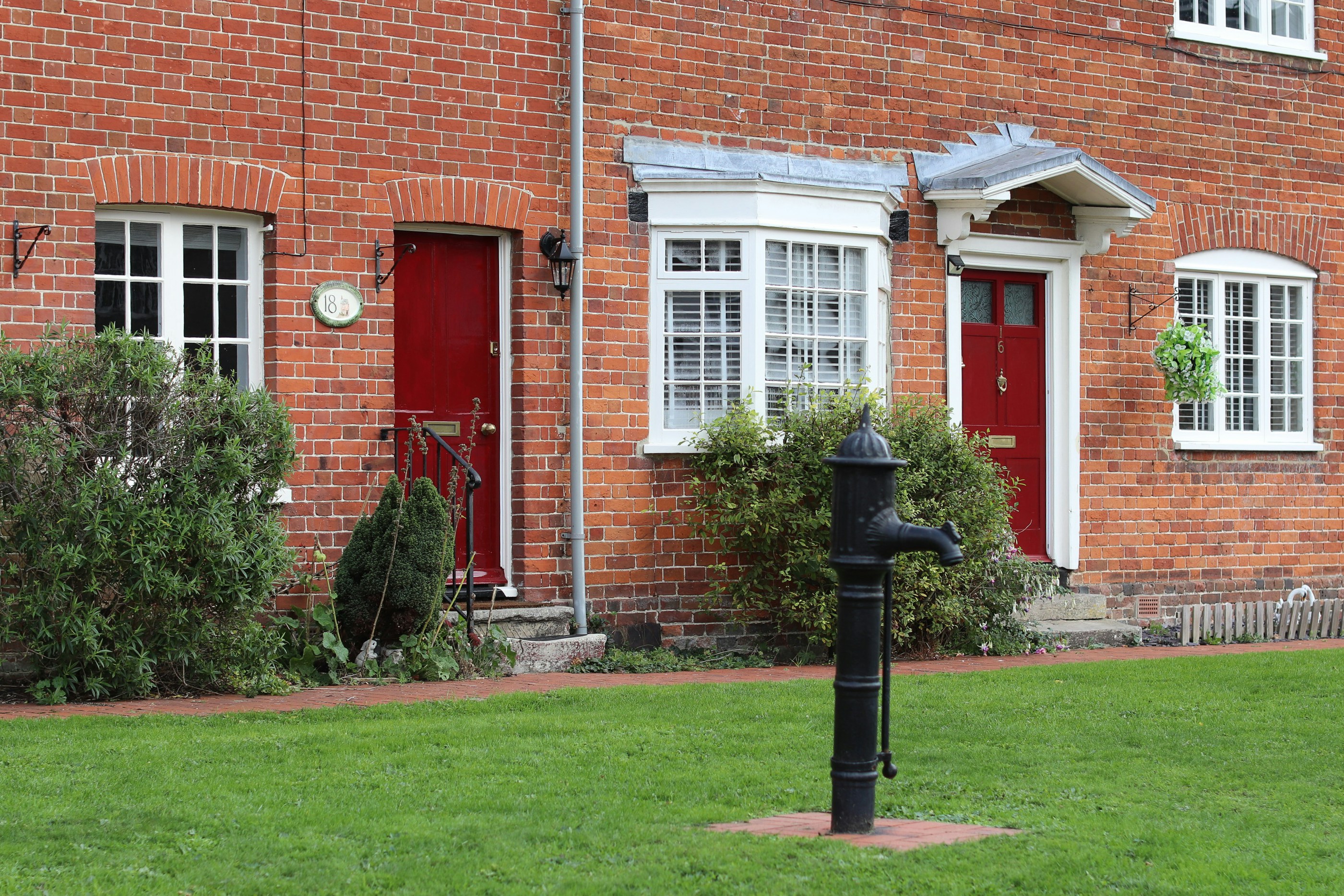 Photo by Tanya Barrow with Canon EOS 77D