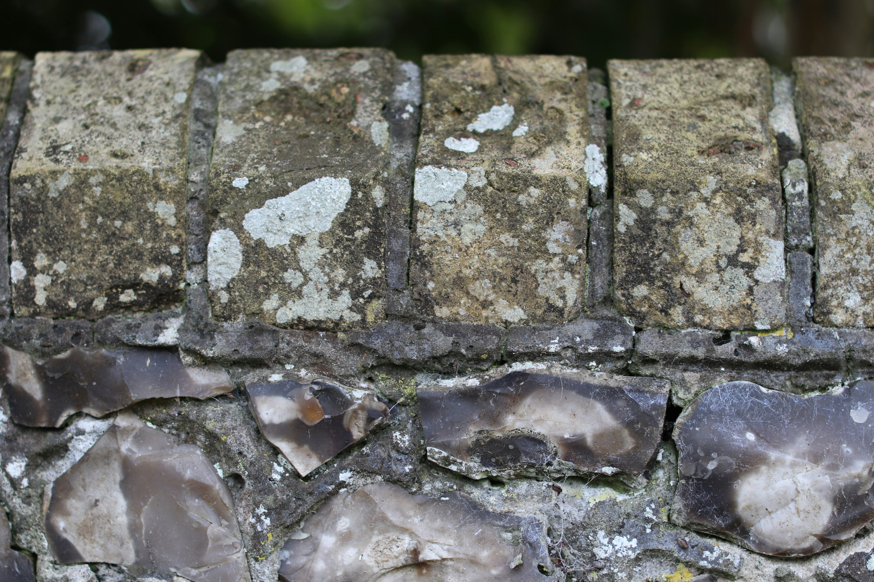 Nature's Mosaic: A Tapestry of Stone and Time