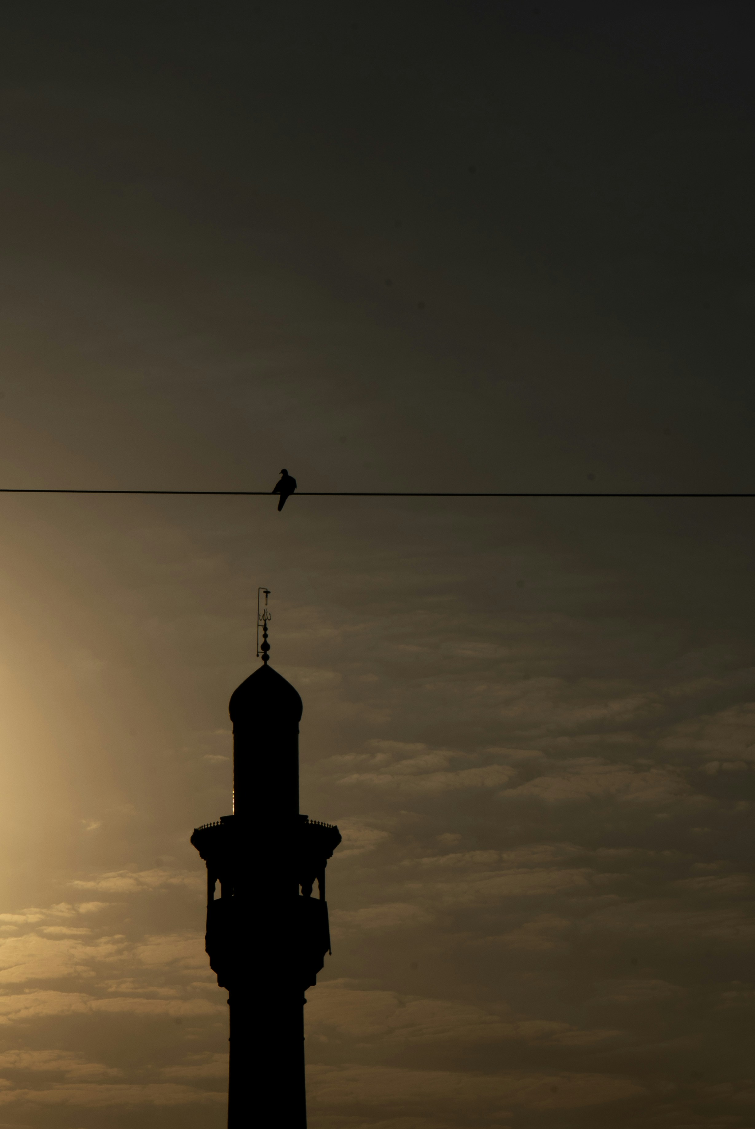 Dusk Silhouette: A lone bird on a wire framing a minaret at sunset.