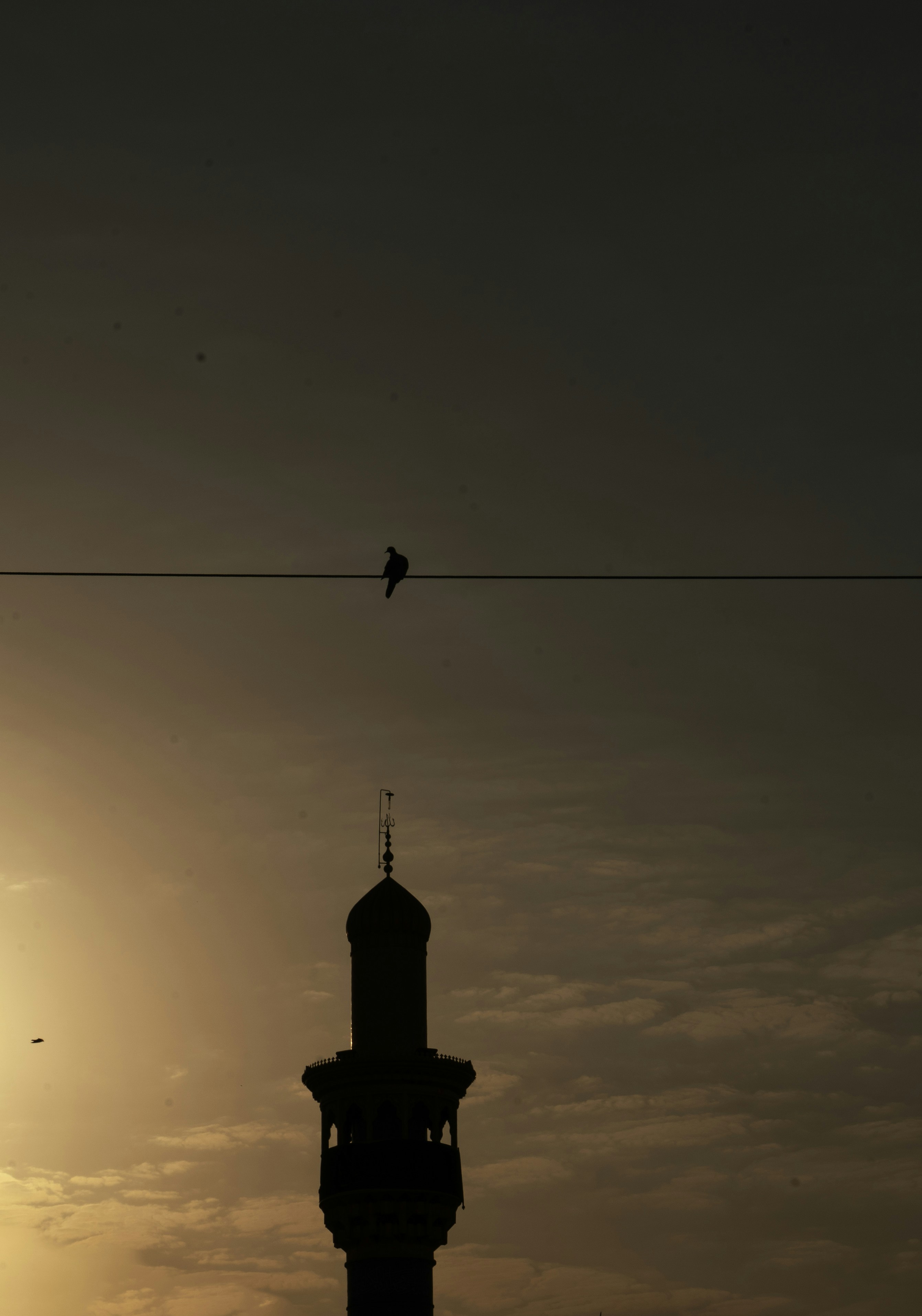 Lone Wire, Warm Sky: A Bird's Silhouette Over a Minaret at Dusk