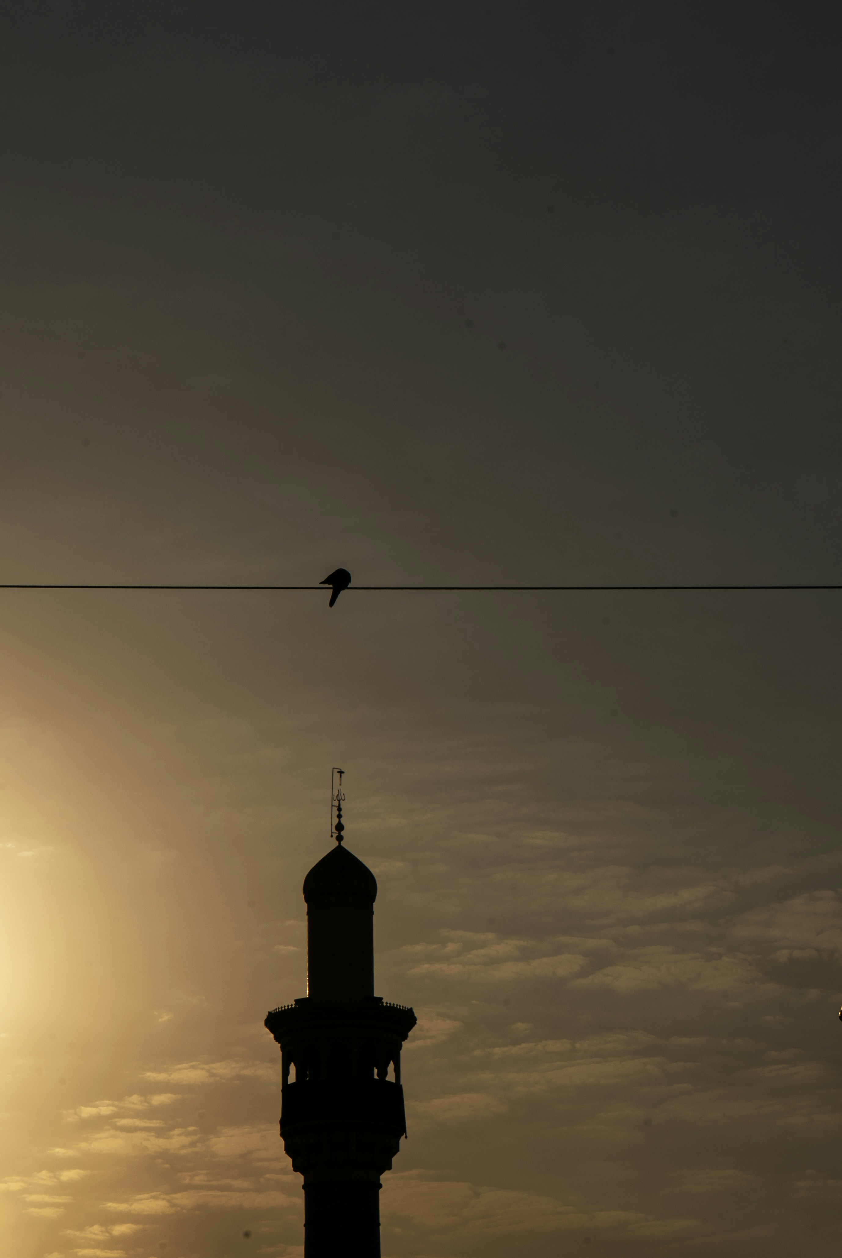 Dusk on a Wire: Bird and Minaret in a Golden Hour Silhouette