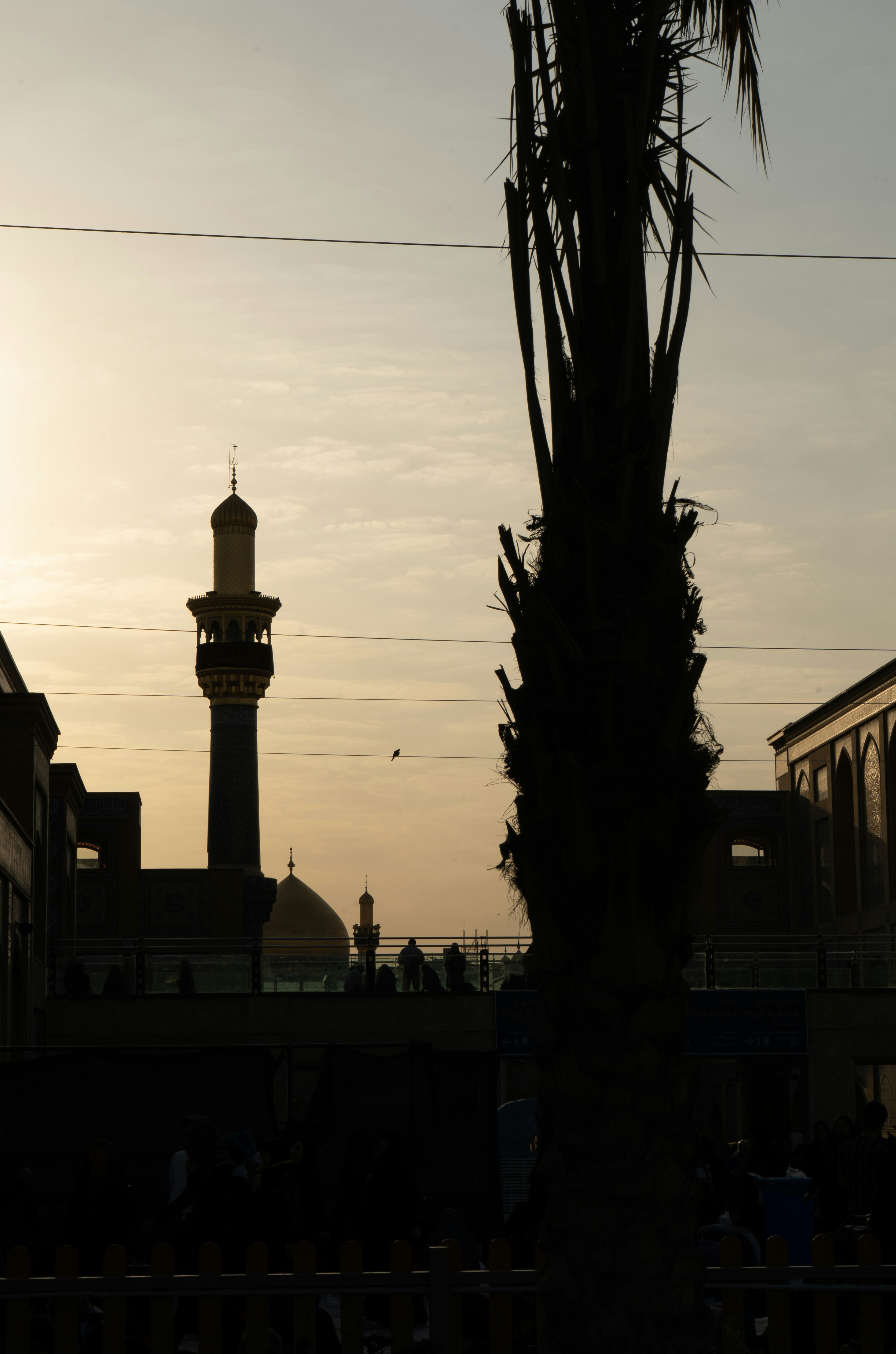 Golden Hour Silhouette: Minaret, Palm, and Mosque in Dusk