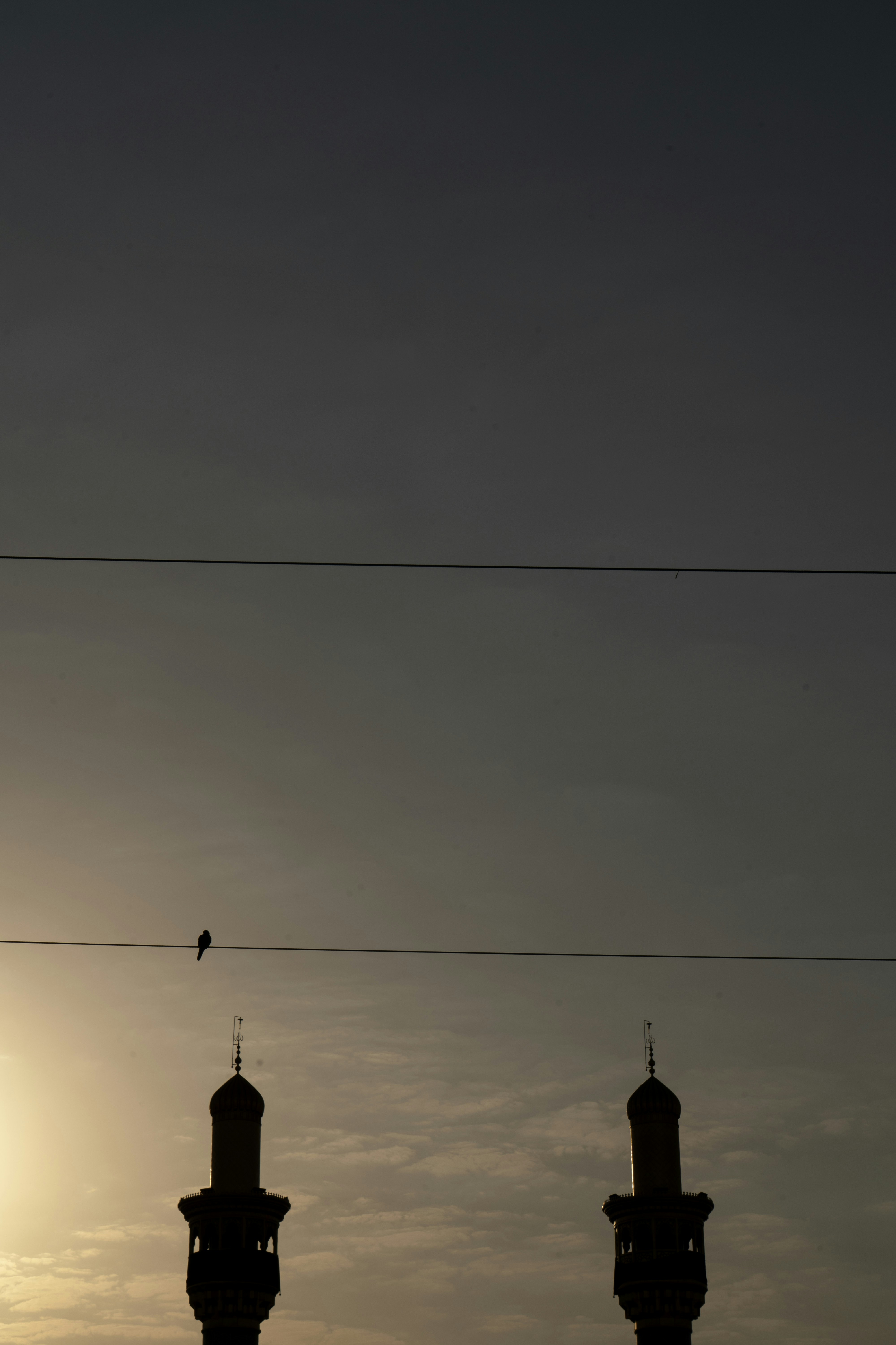 Dusk on the Wire: A lone bird between twin minarets