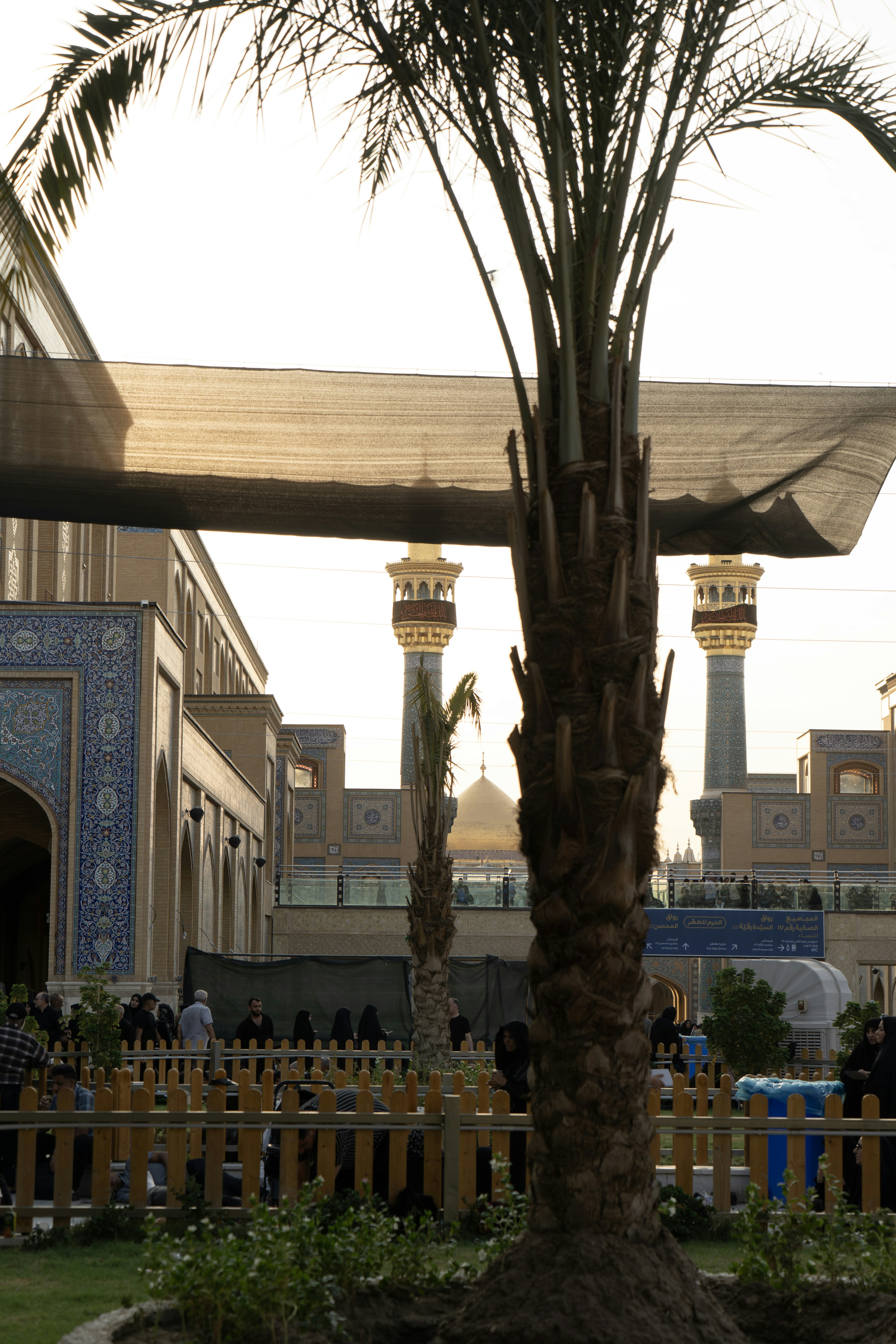 Palm tree framing a view of ornate mosque towers and a golden dome under a soft evening sky.