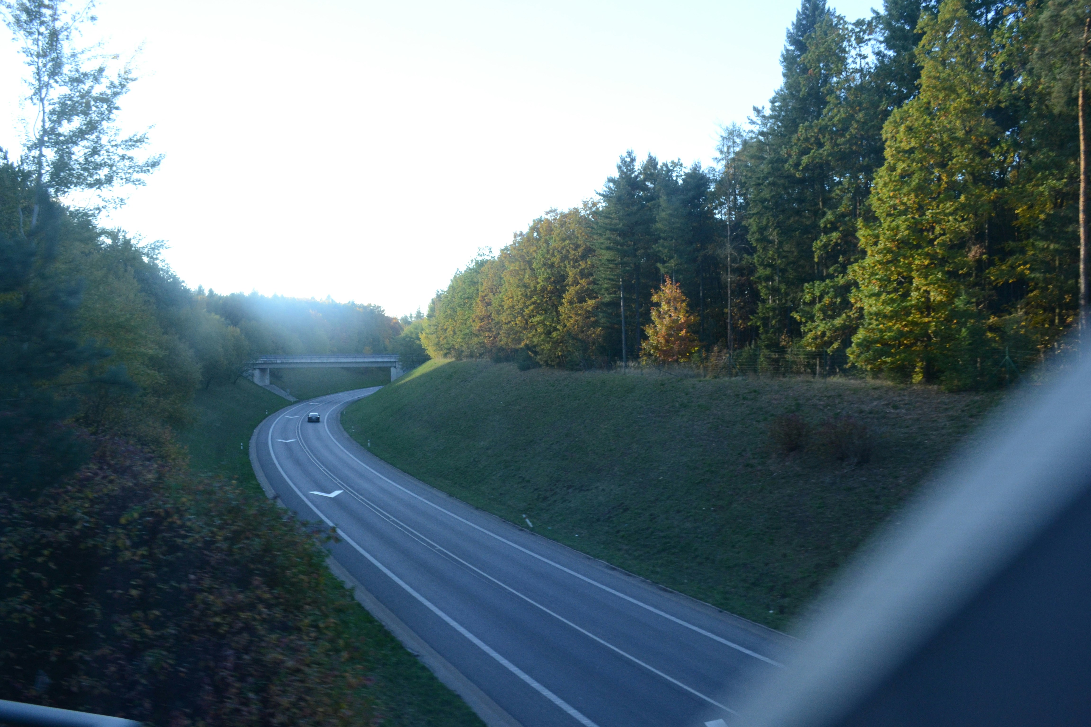 Curved road flanked by vibrant autumn foliage under a clear blue sky.