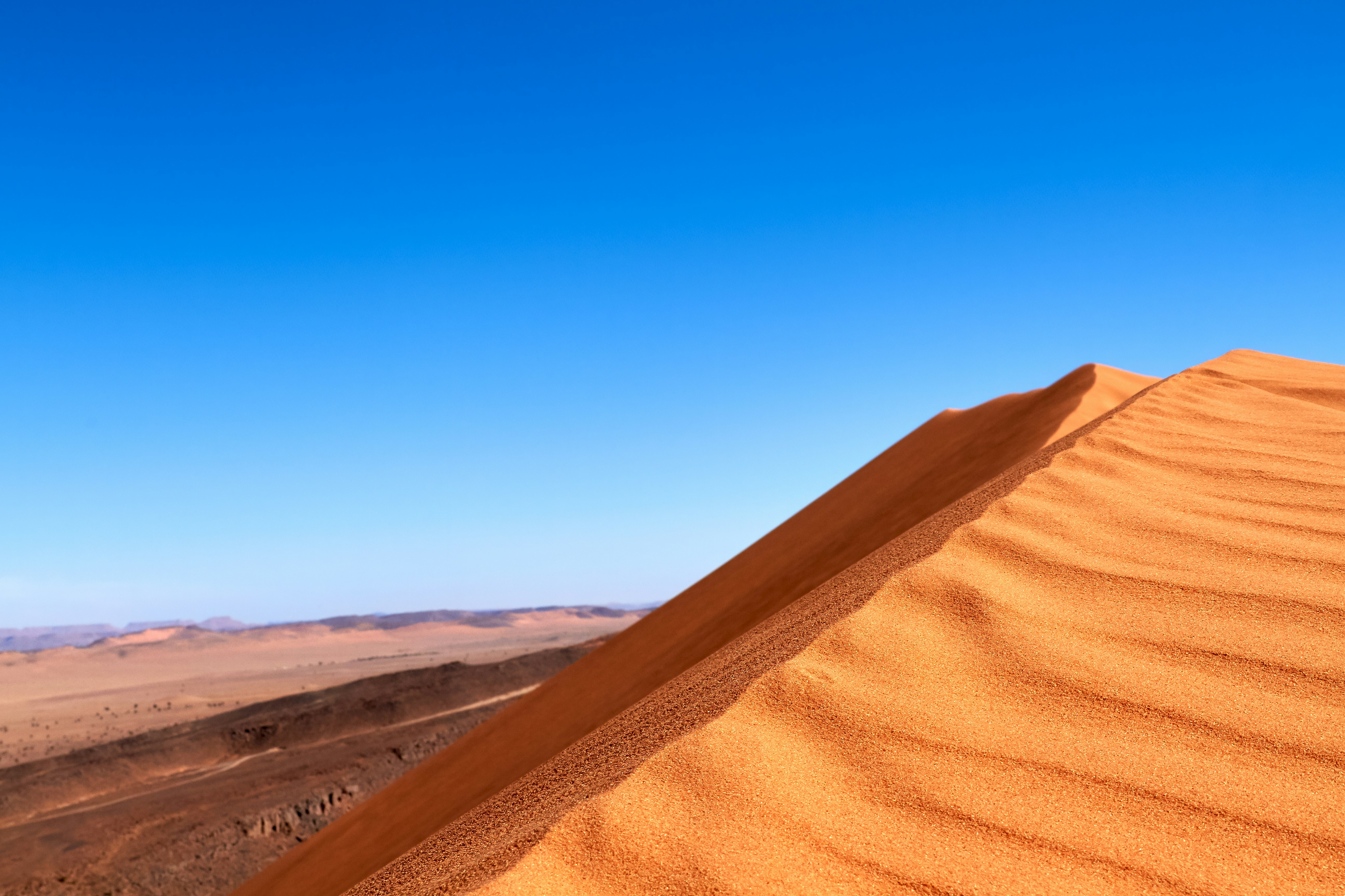Whispers of the Desert Dune