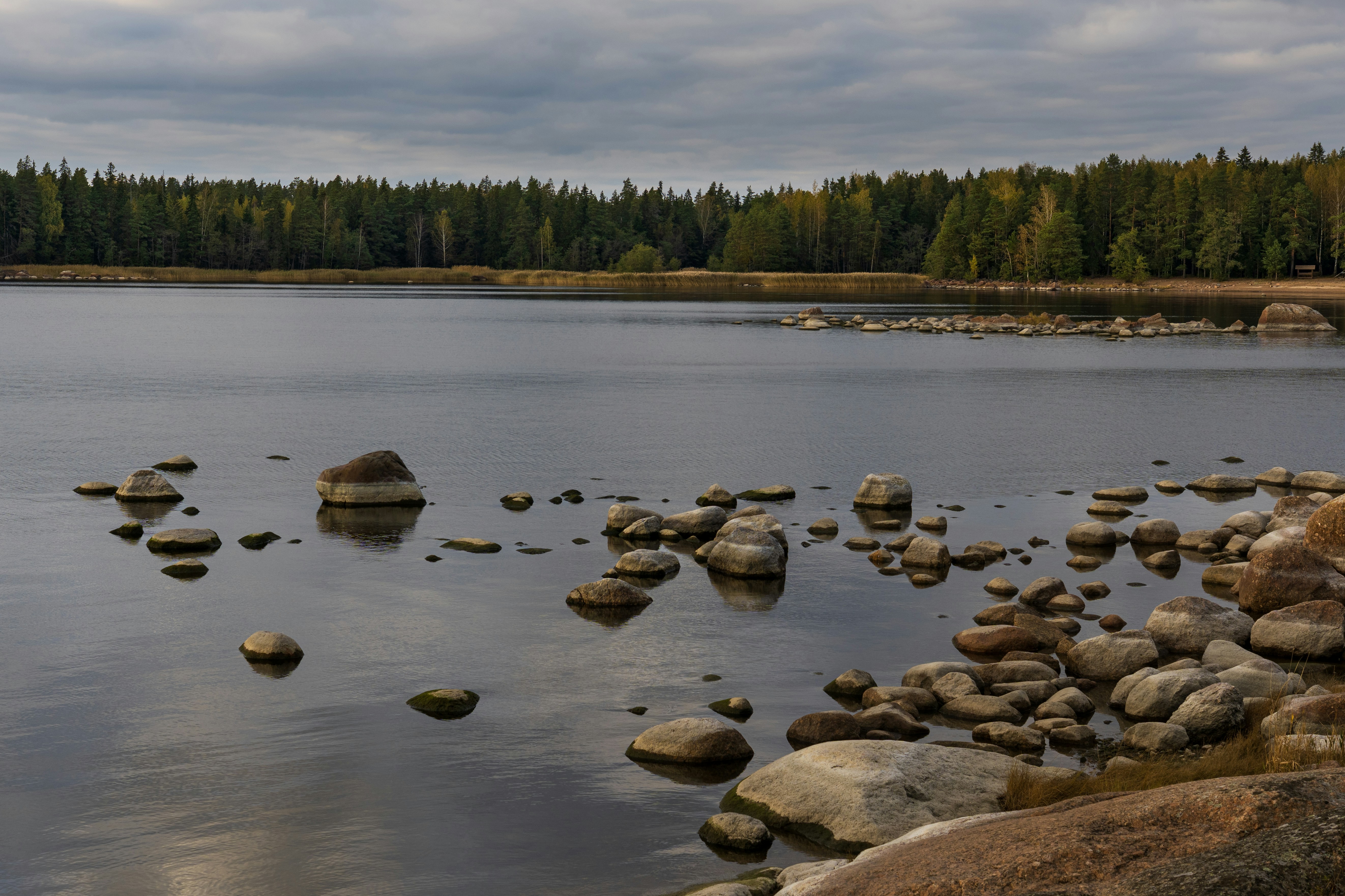 Calm lake reflecting a cloudy sky, surrounded by lush forests and scattered stones along the shore.
