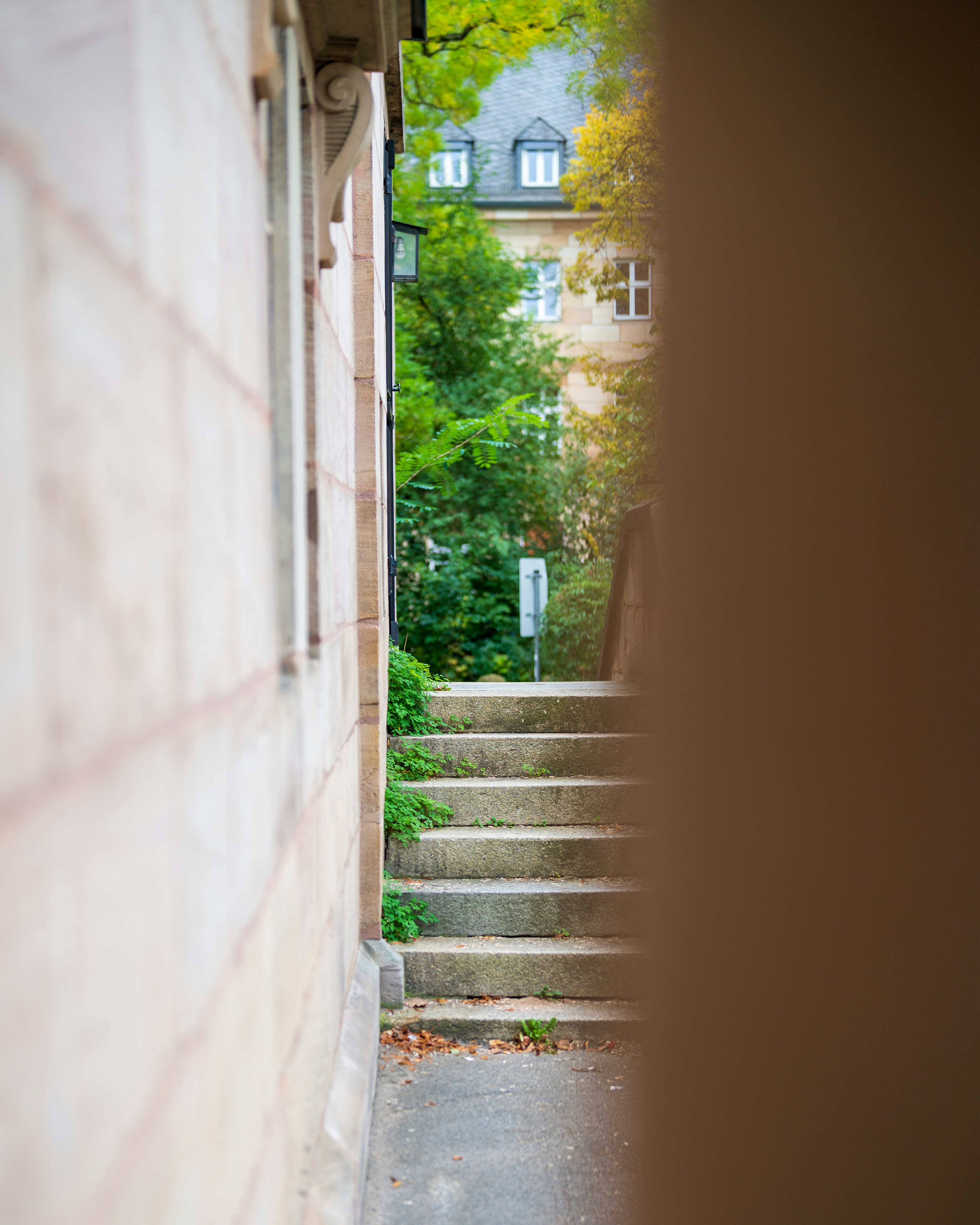 A serene view of a stone staircase flanked by lush greenery, leading into an inviting space. The composition hints at a journey waiting to unfold.