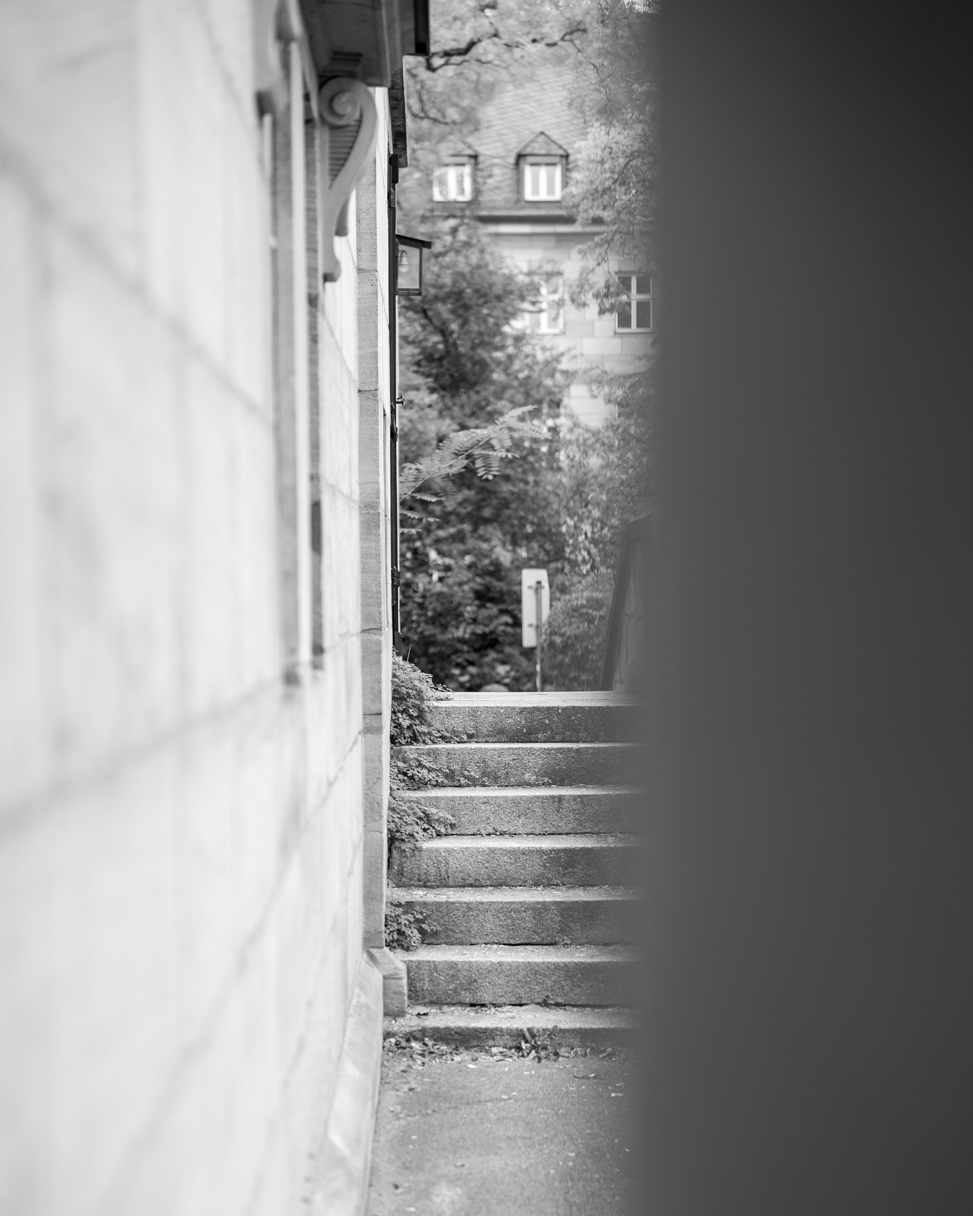 Photo by Mohamed B. with Sony Alpha 7C