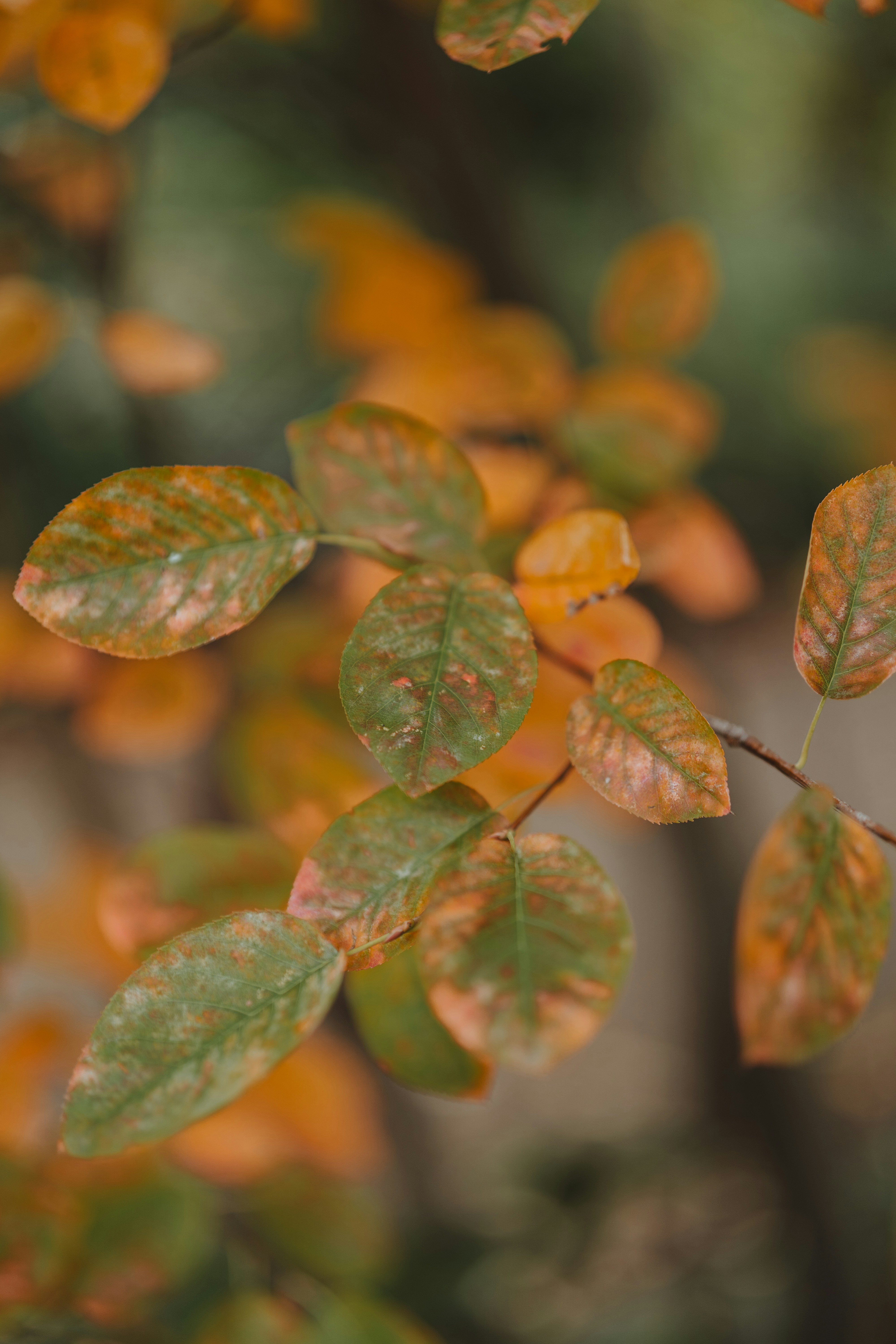 Photo by Mohamed B. with Sony Alpha 7C