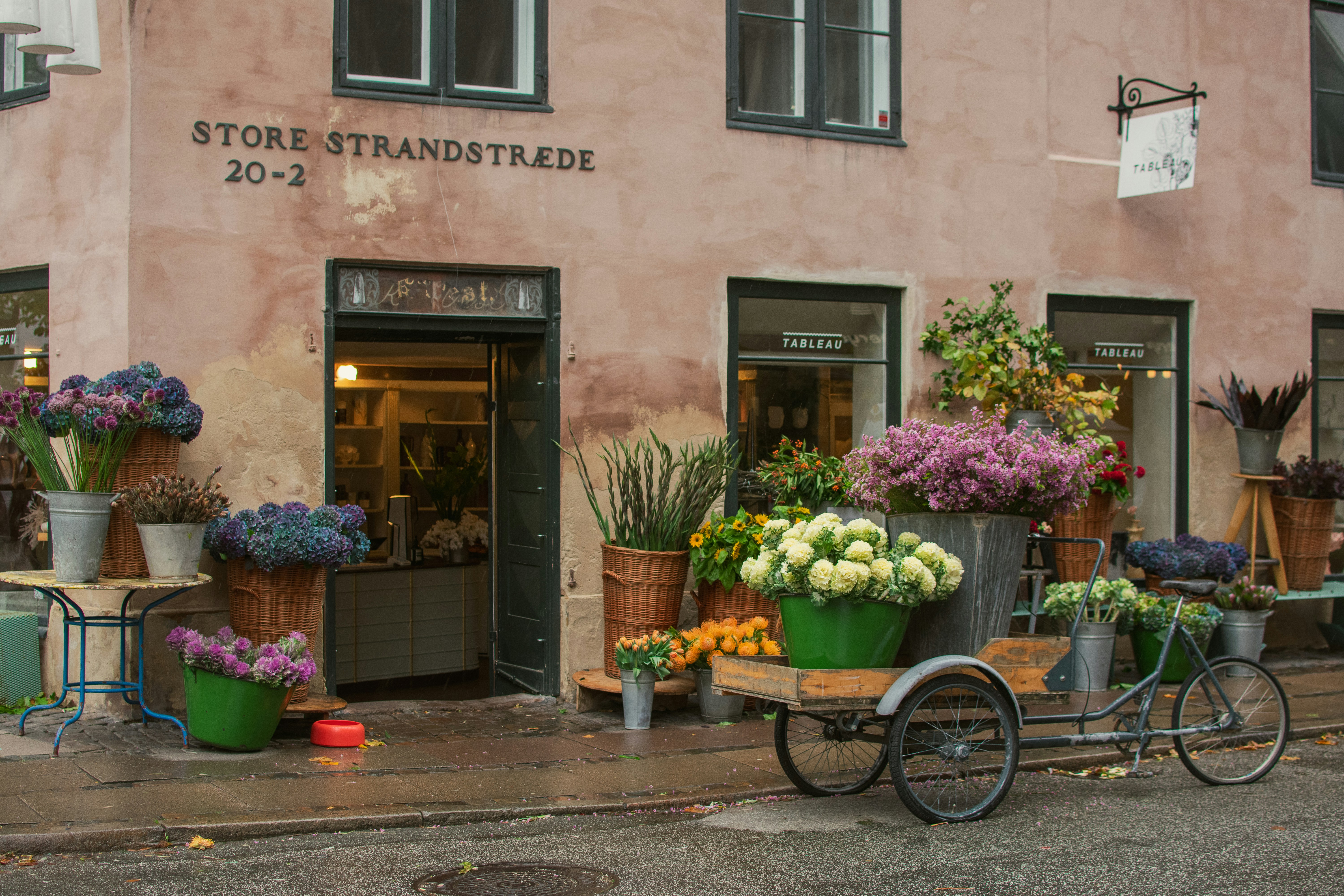 Flowered Doorstep: A Sunlit Florist's Shopfront with a Bicycle Cart