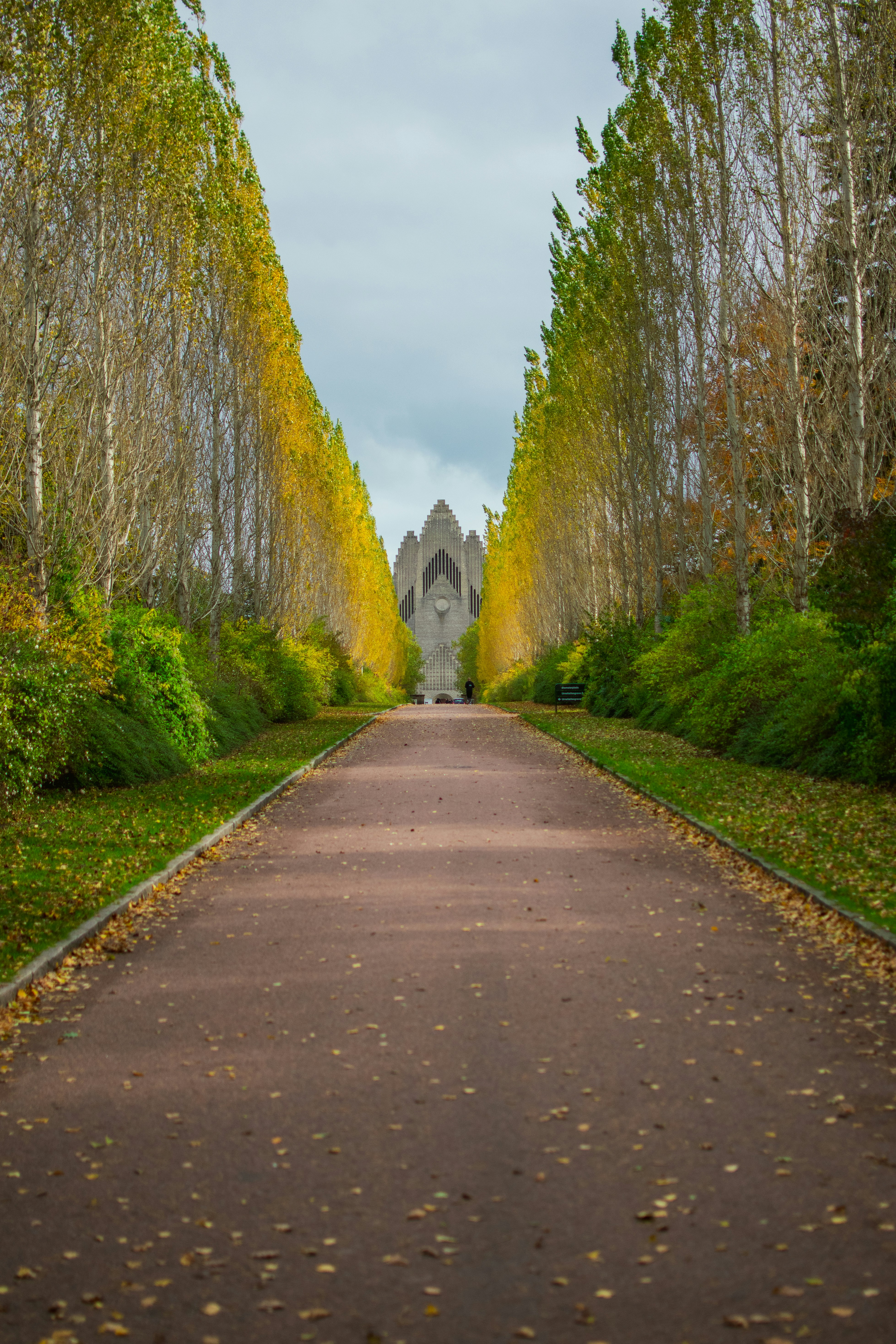 Pathway to Serenity: A Journey Through Autumn's Embrace