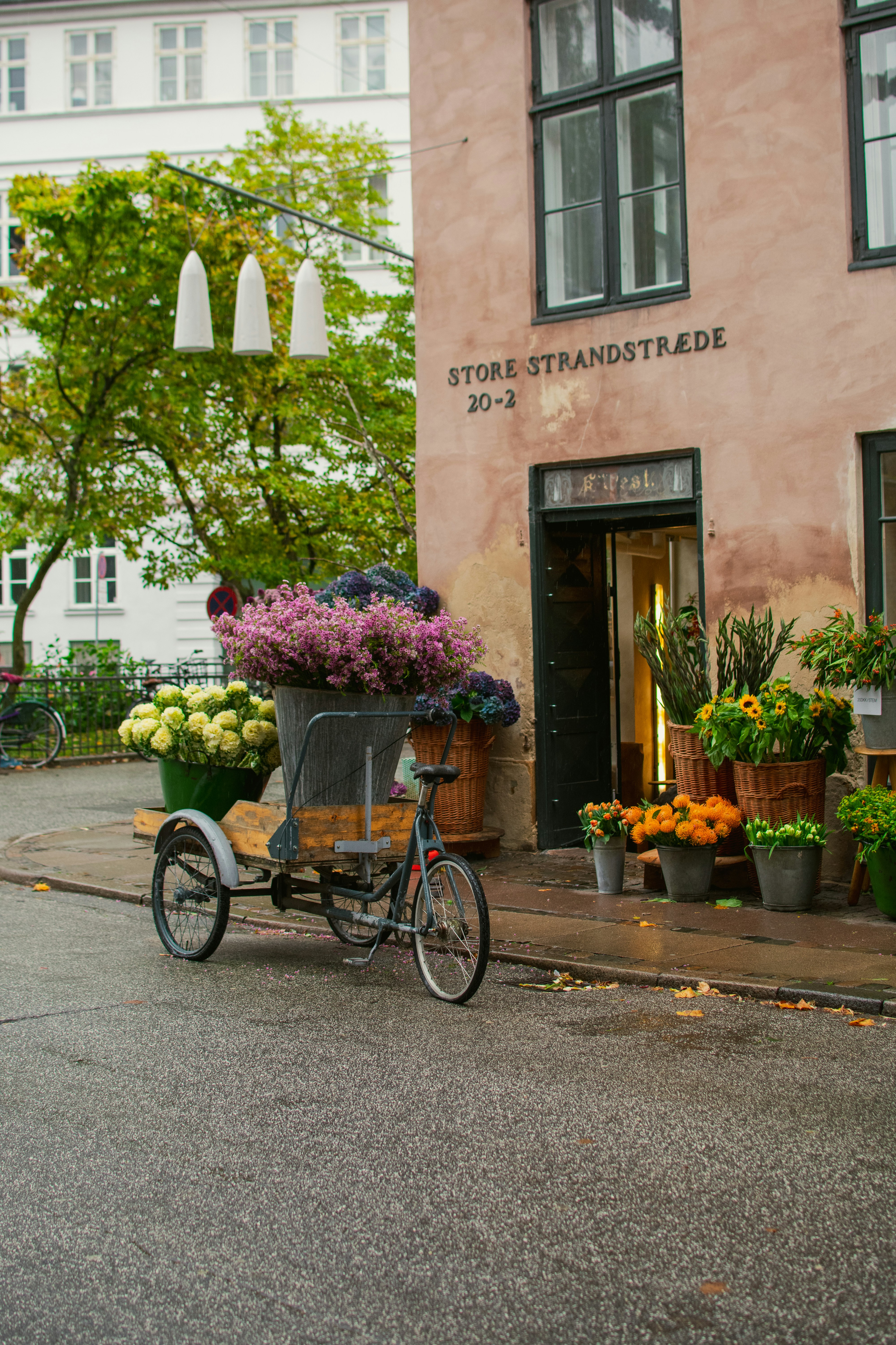 The Floral Cart: A Street's Vibrant Canvas
