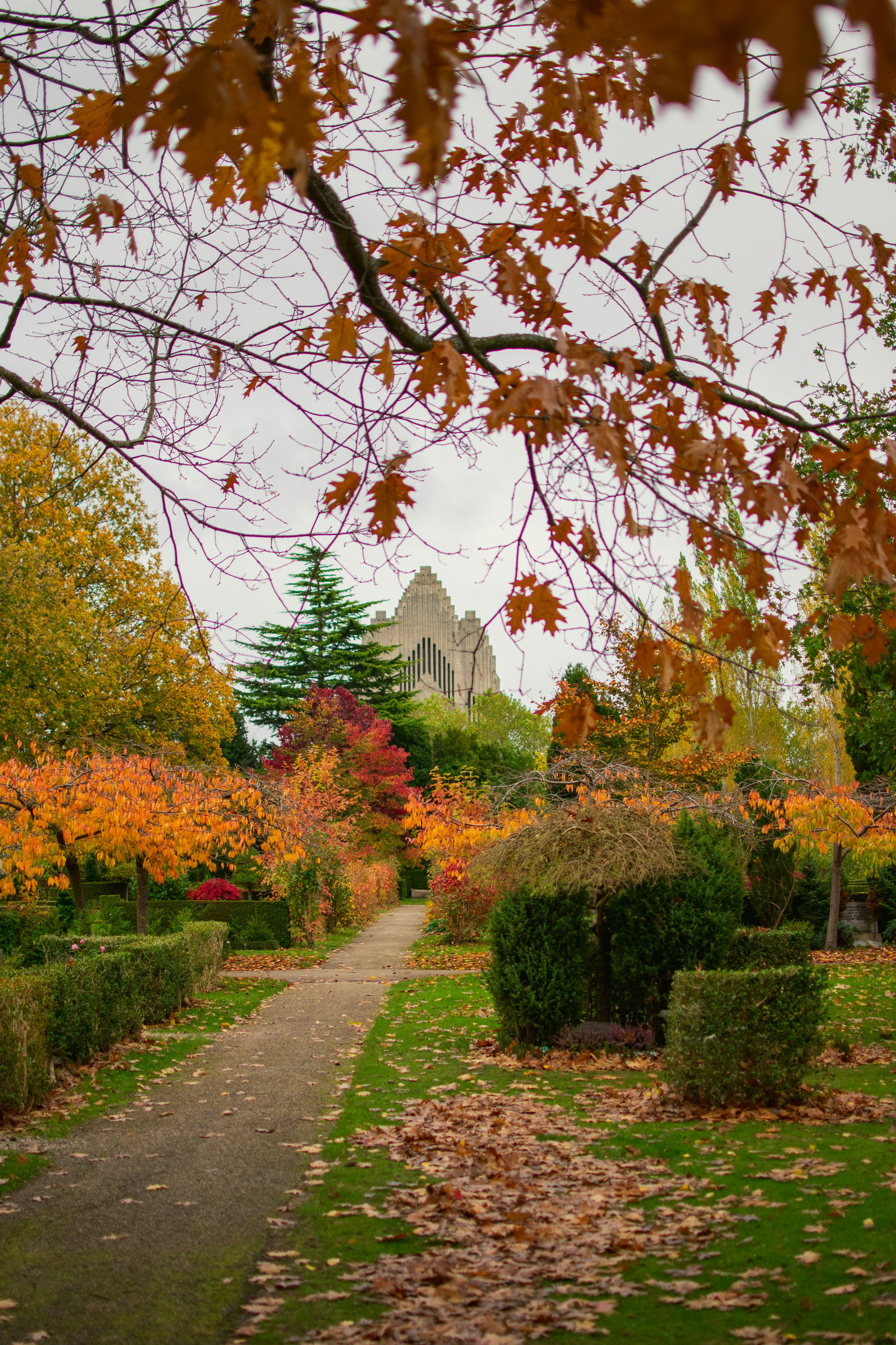 Autumn Avenue: A Central Path Leading to a Gothic Structure