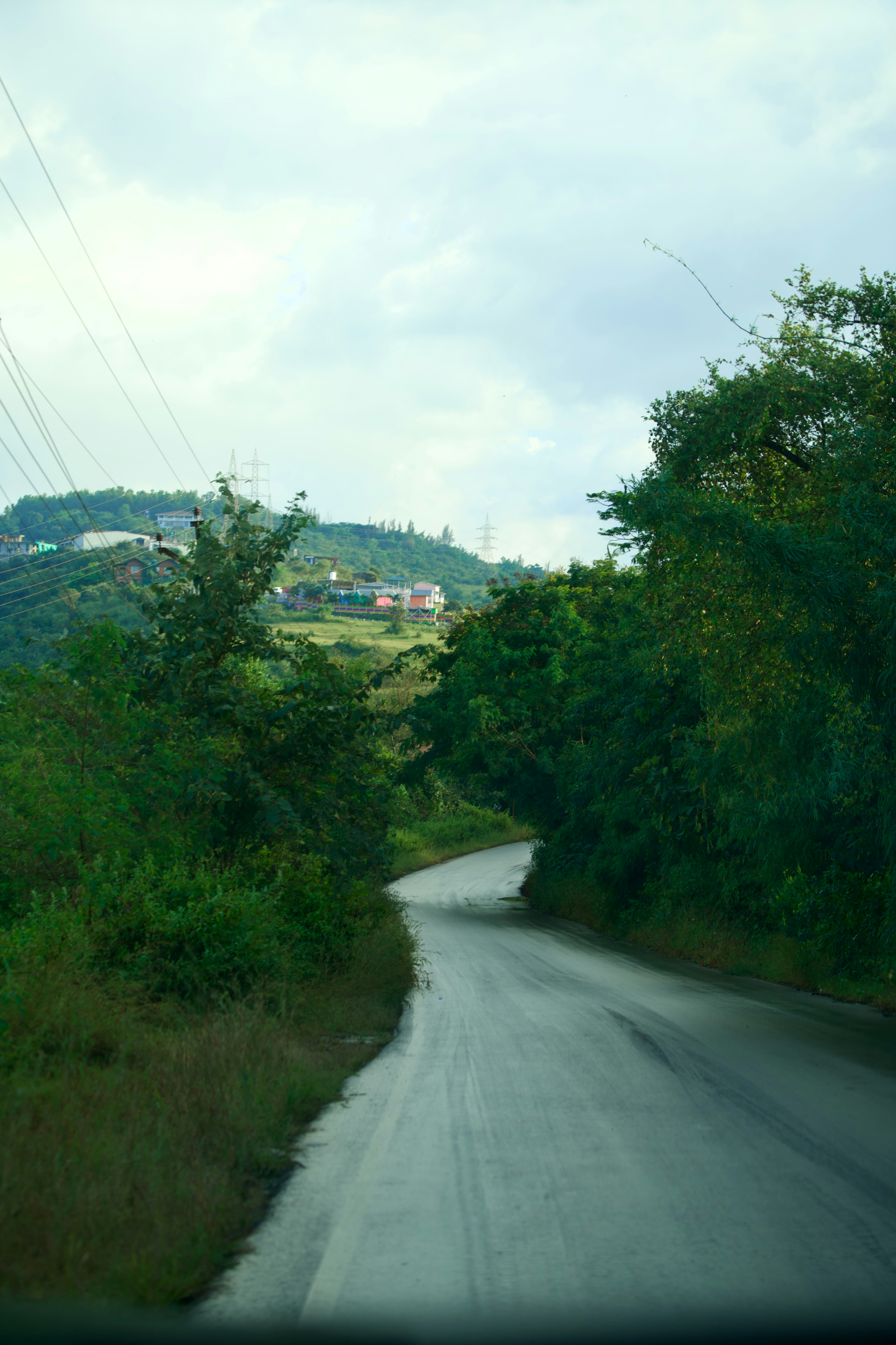 A winding road through lush green trees and hills.