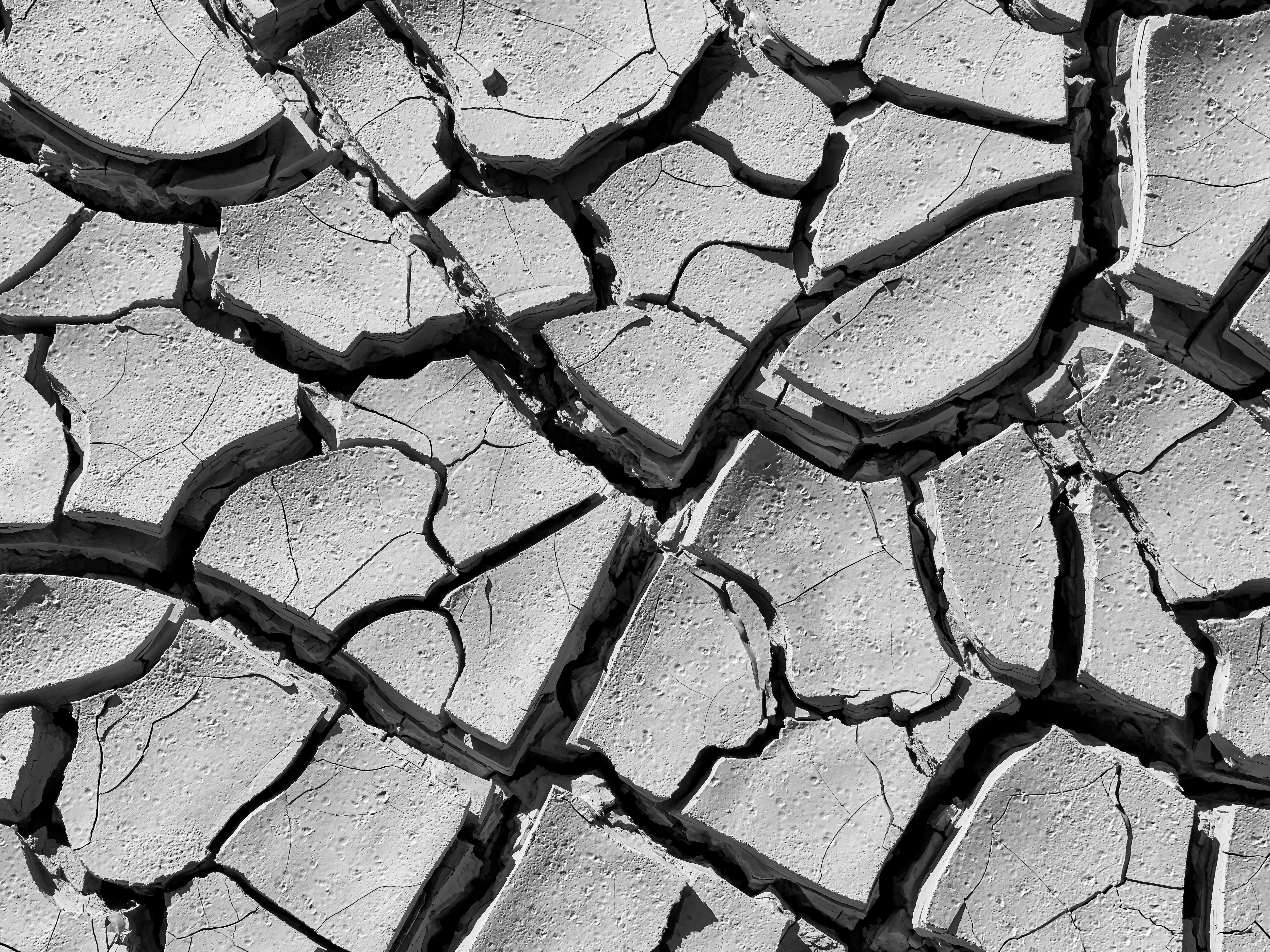 Close-up of dry, cracked earth highlighting the intricate patterns formed by drought. The monochrome tones emphasize texture and contrast.
