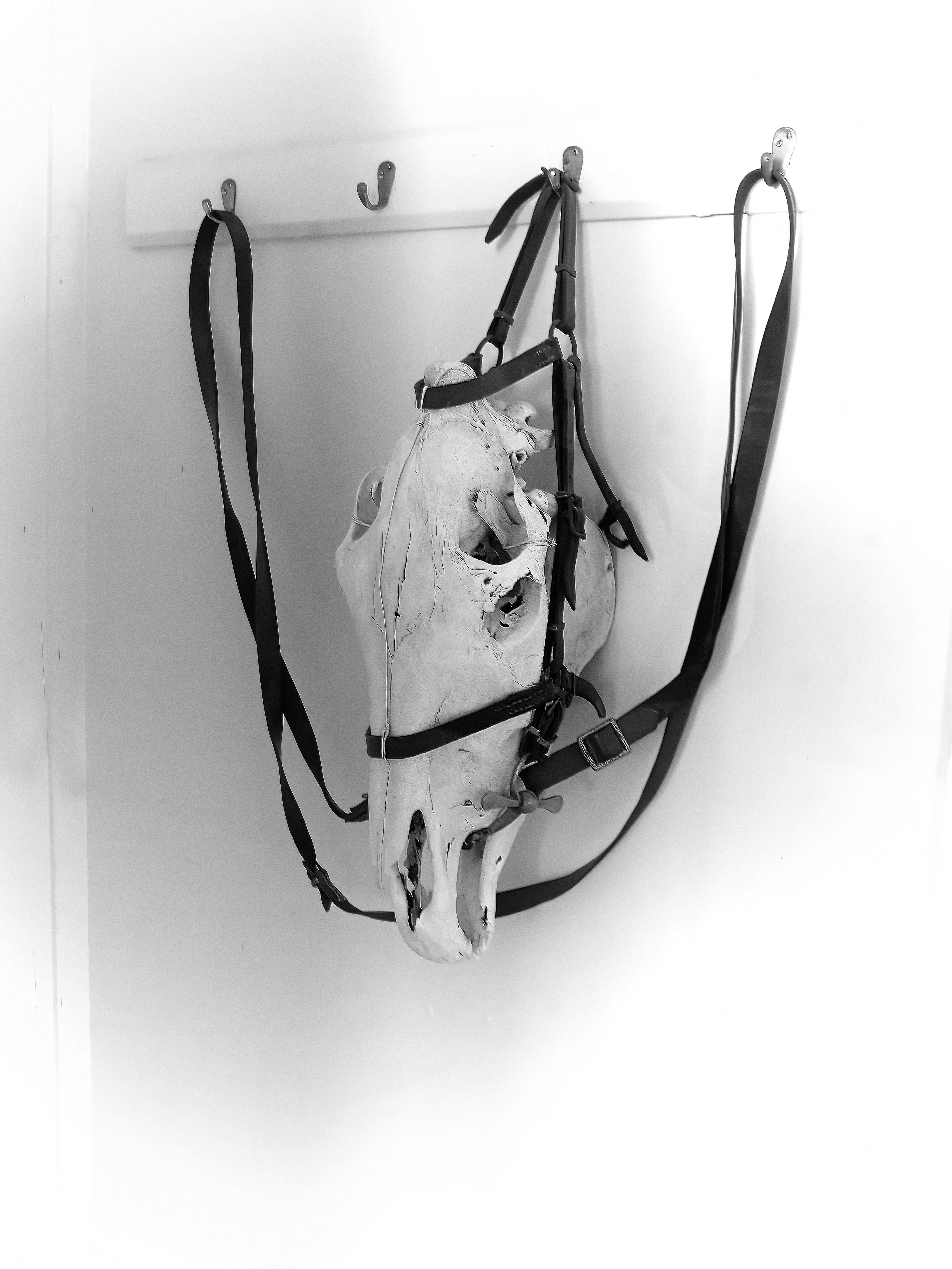 Harnessed Remnants: A Study in Contrast