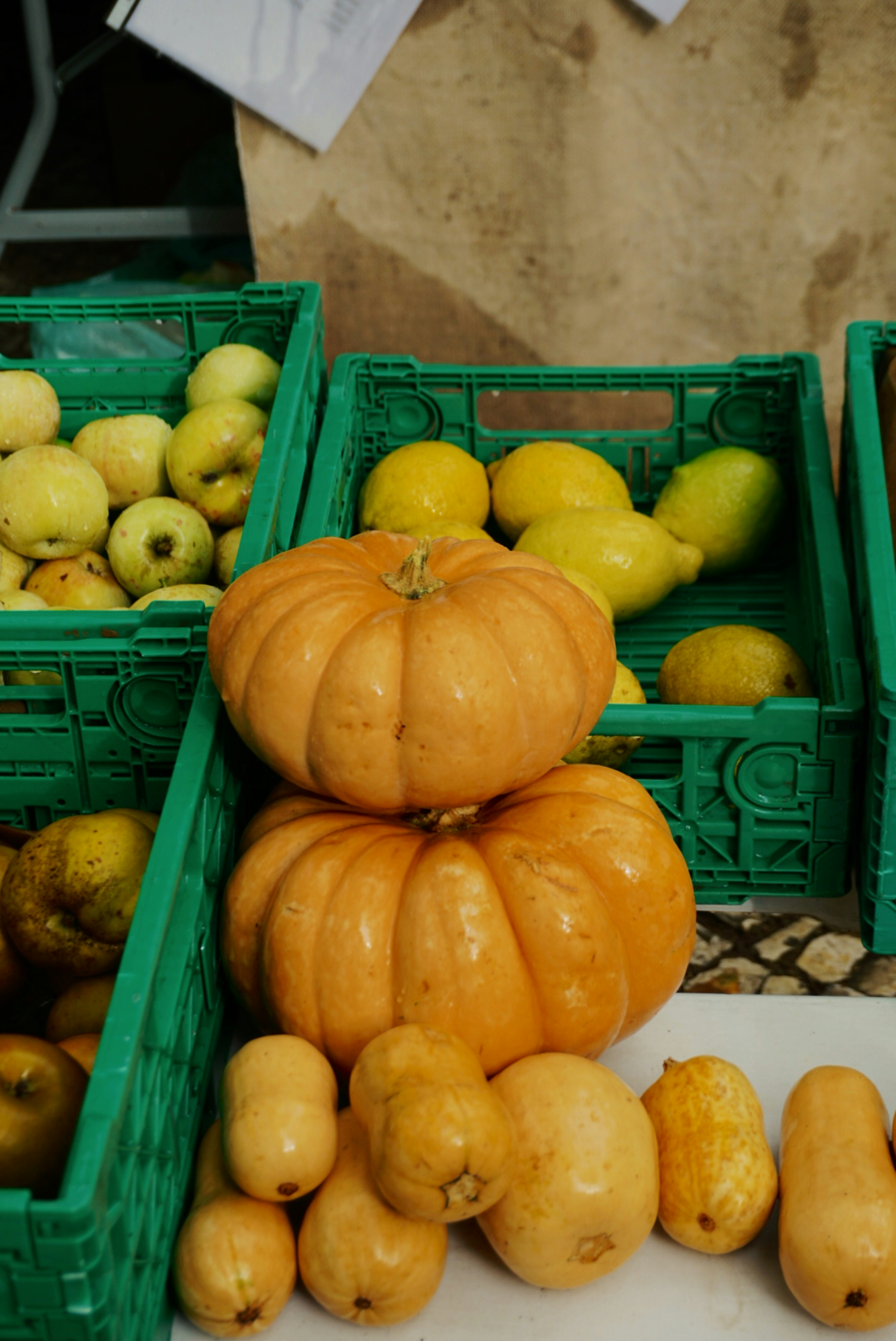 Autumn's Centerpiece: Twin Pumpkins Rising Above a Crate-Stack Market Display