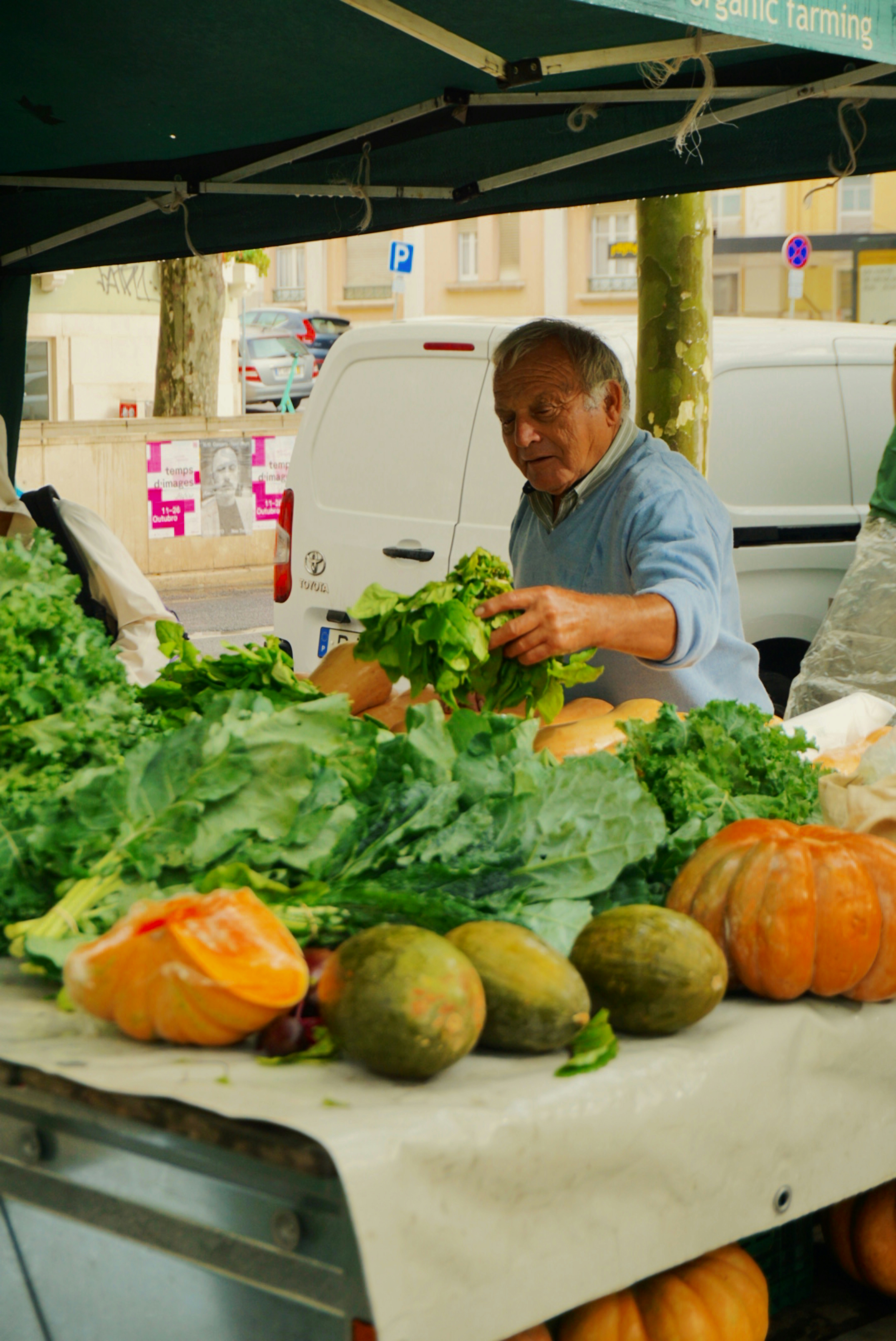 Under the Market Canopy: An Elder Vendor Handles Fresh Produce