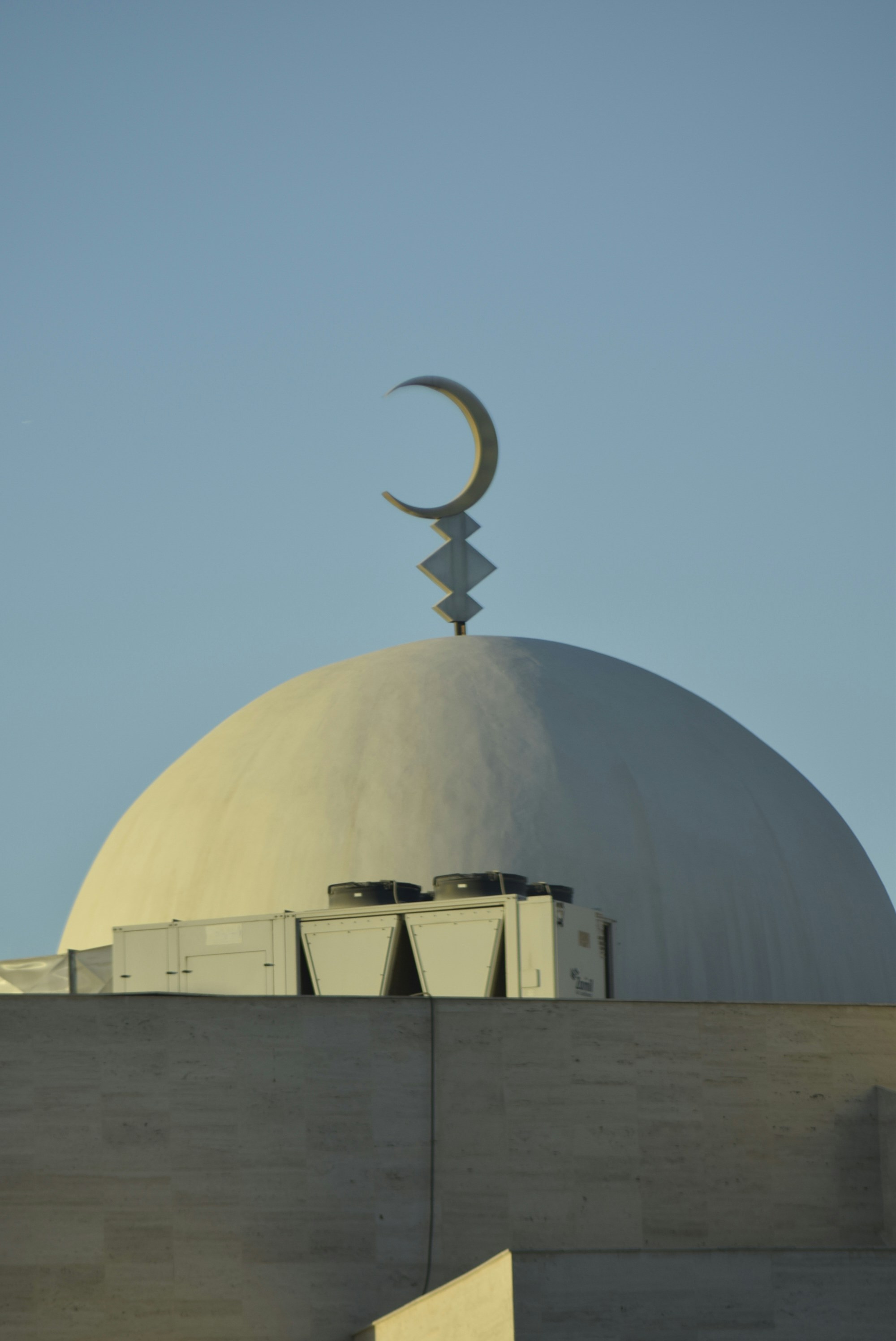 Celestial Emblem atop Modern Architecture