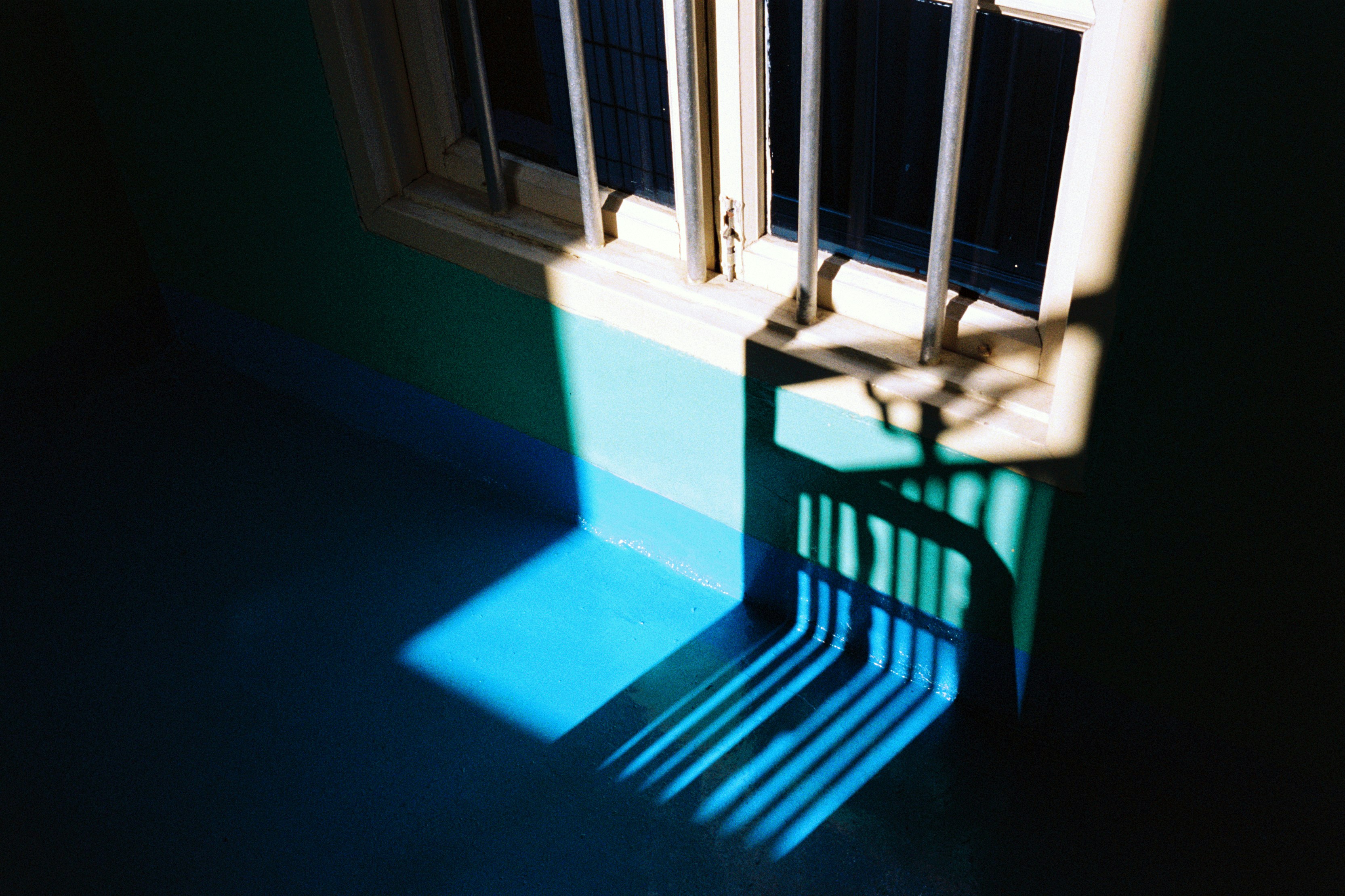 Shadows of Serenity: A Dance of Light and Color
