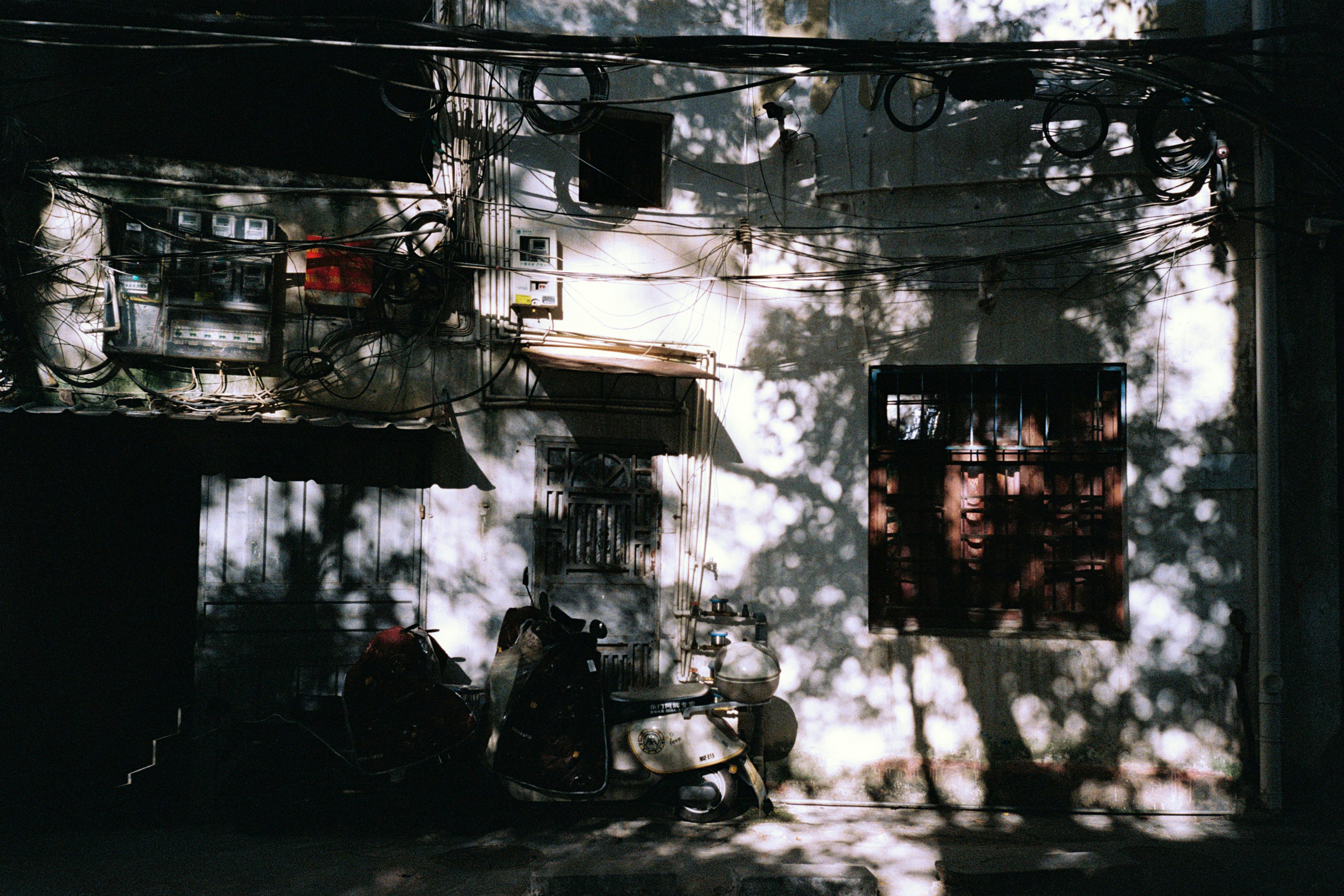 Sunlight filters through trees onto a building