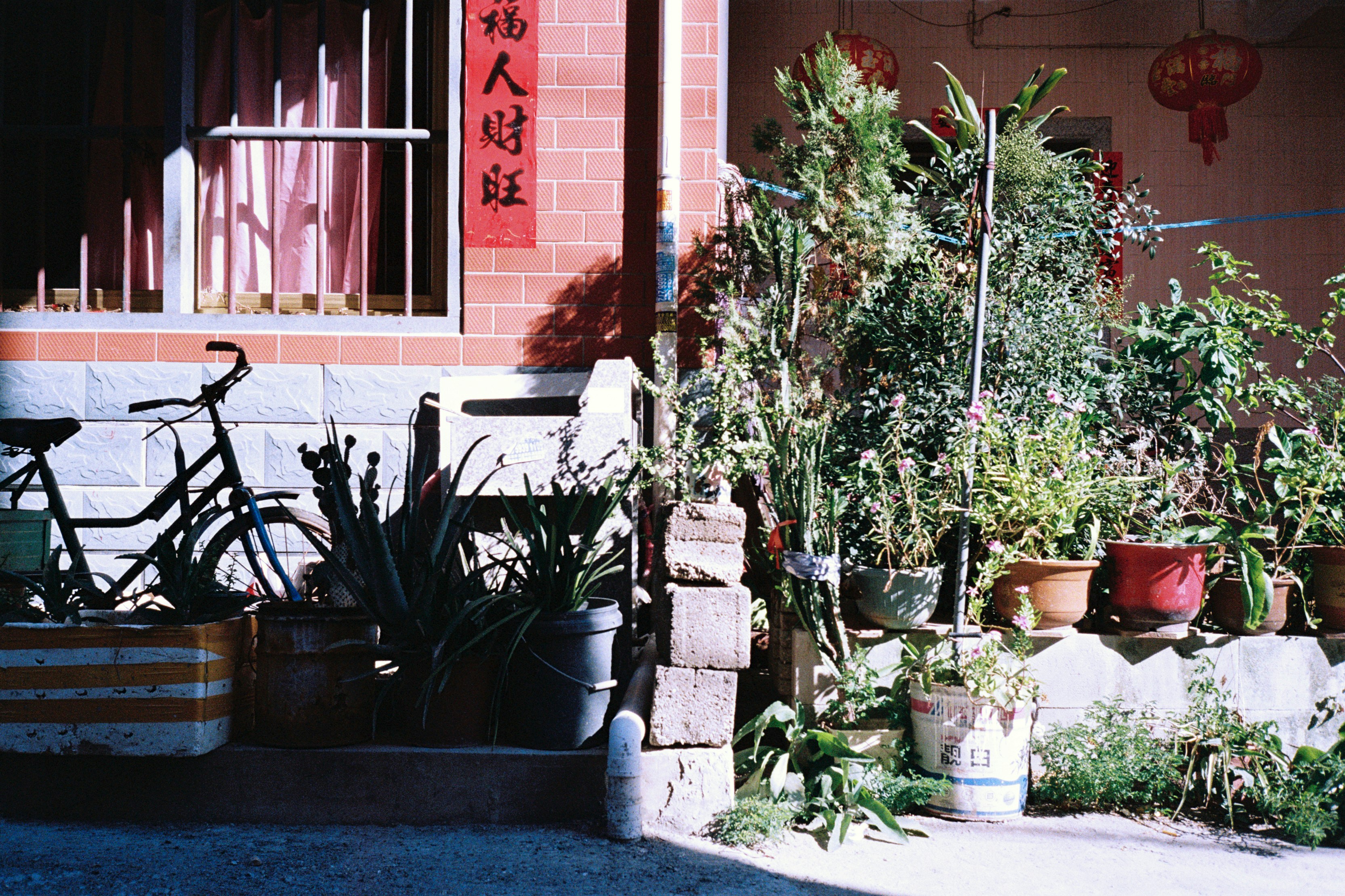 A vintage bicycle rests beside a vibrant display of potted plants and flowers, framed by a quaint building adorned with traditional lanterns.