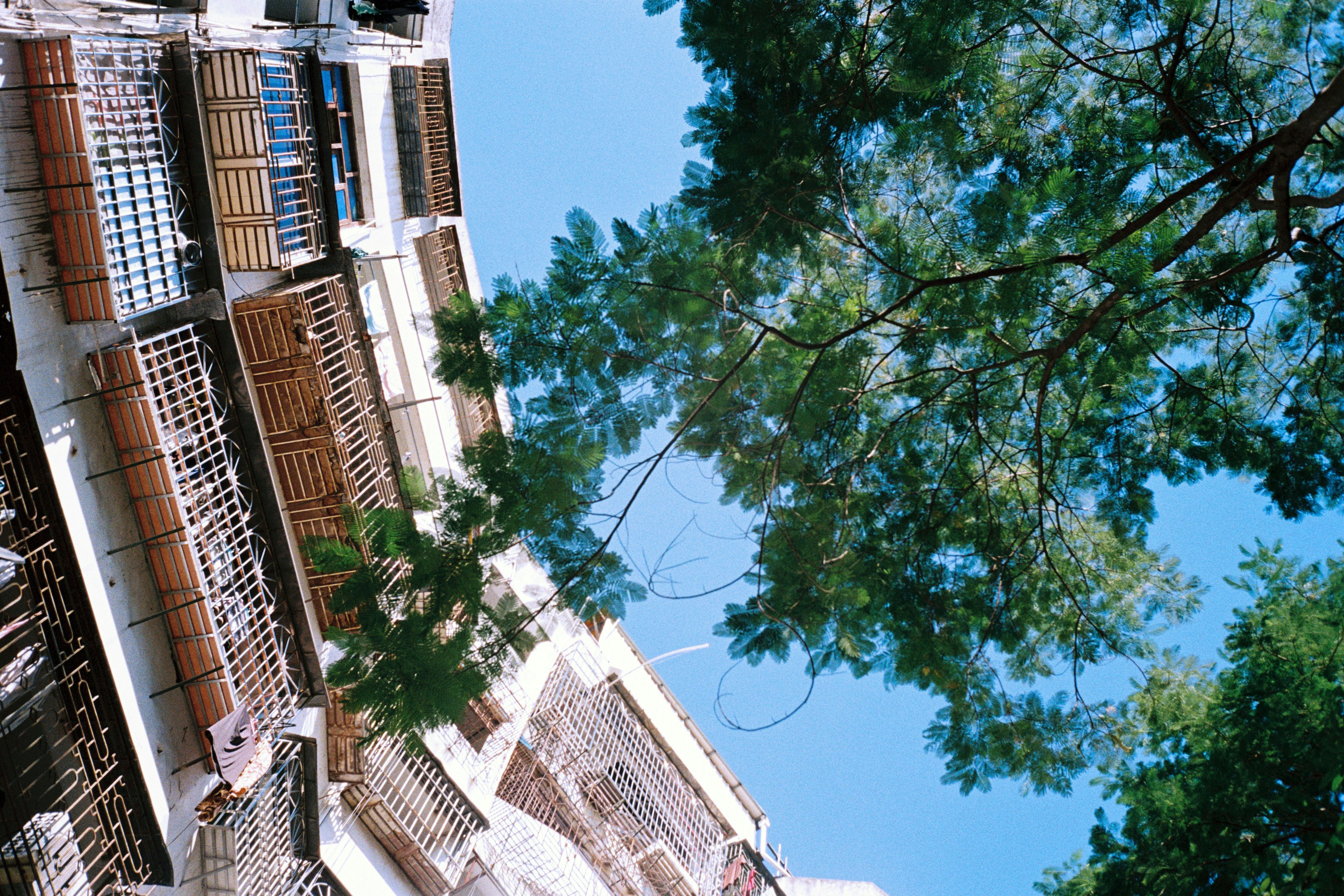 Building facade with trees and blue sky