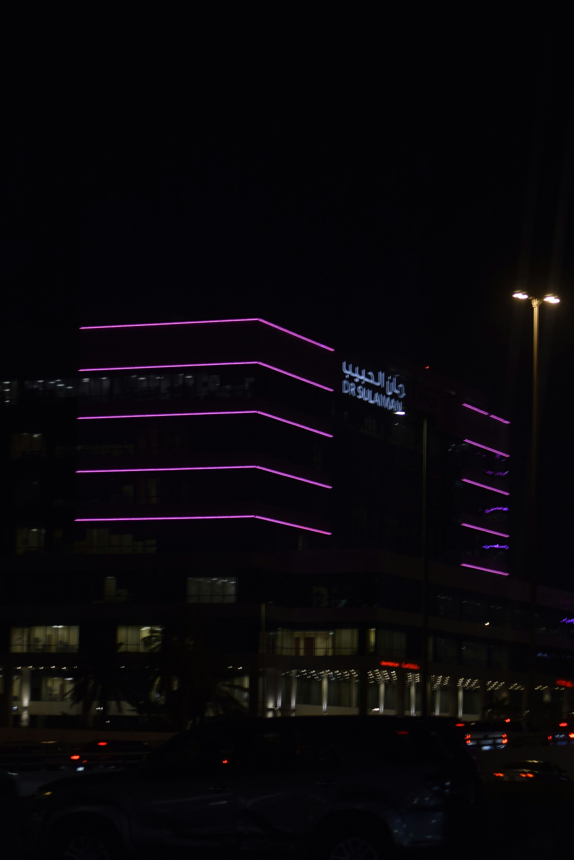 Neon Elegance: A Nighttime Urban Glow