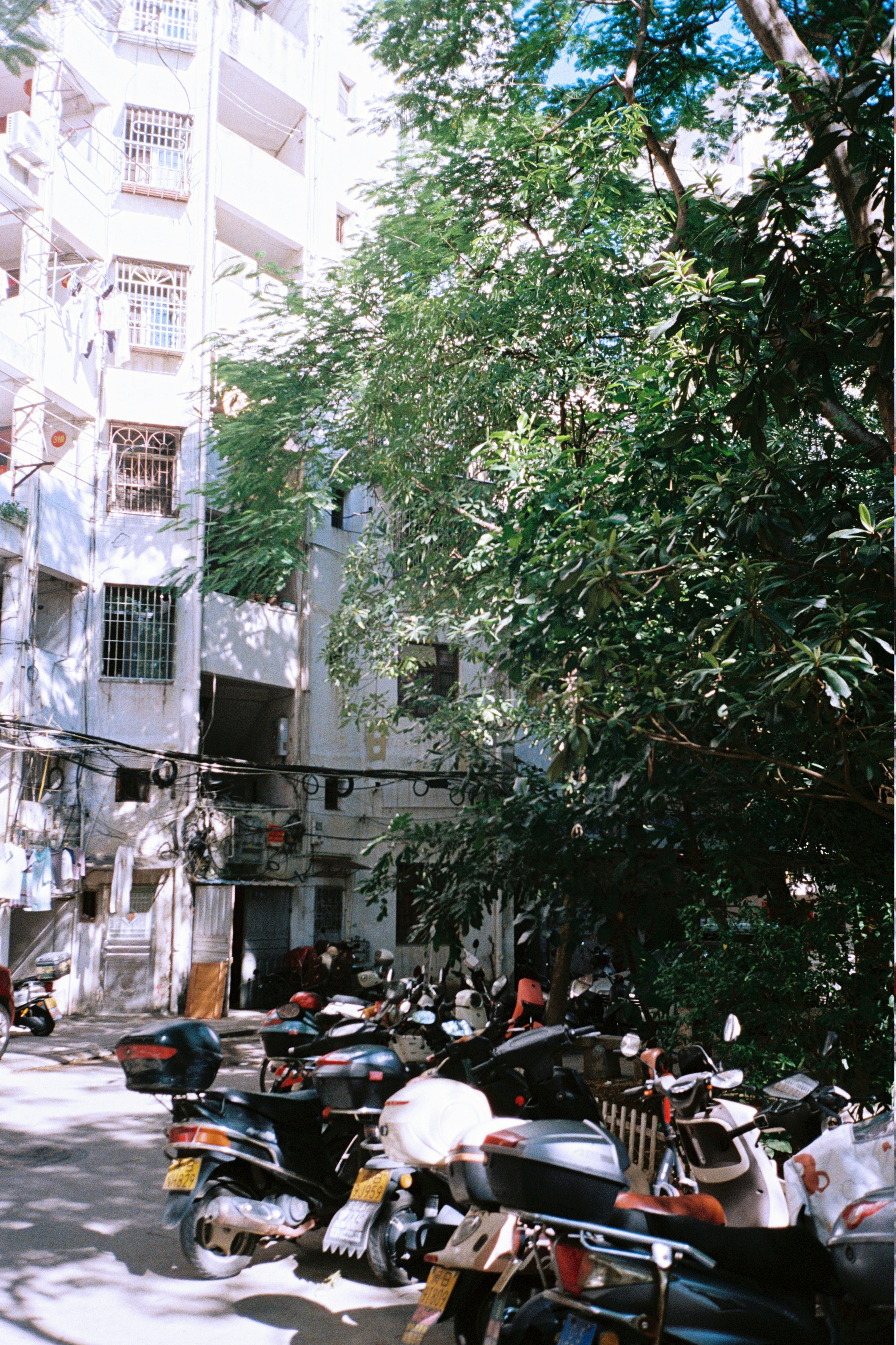 Urban Serenity: A Hidden Motorbike Oasis