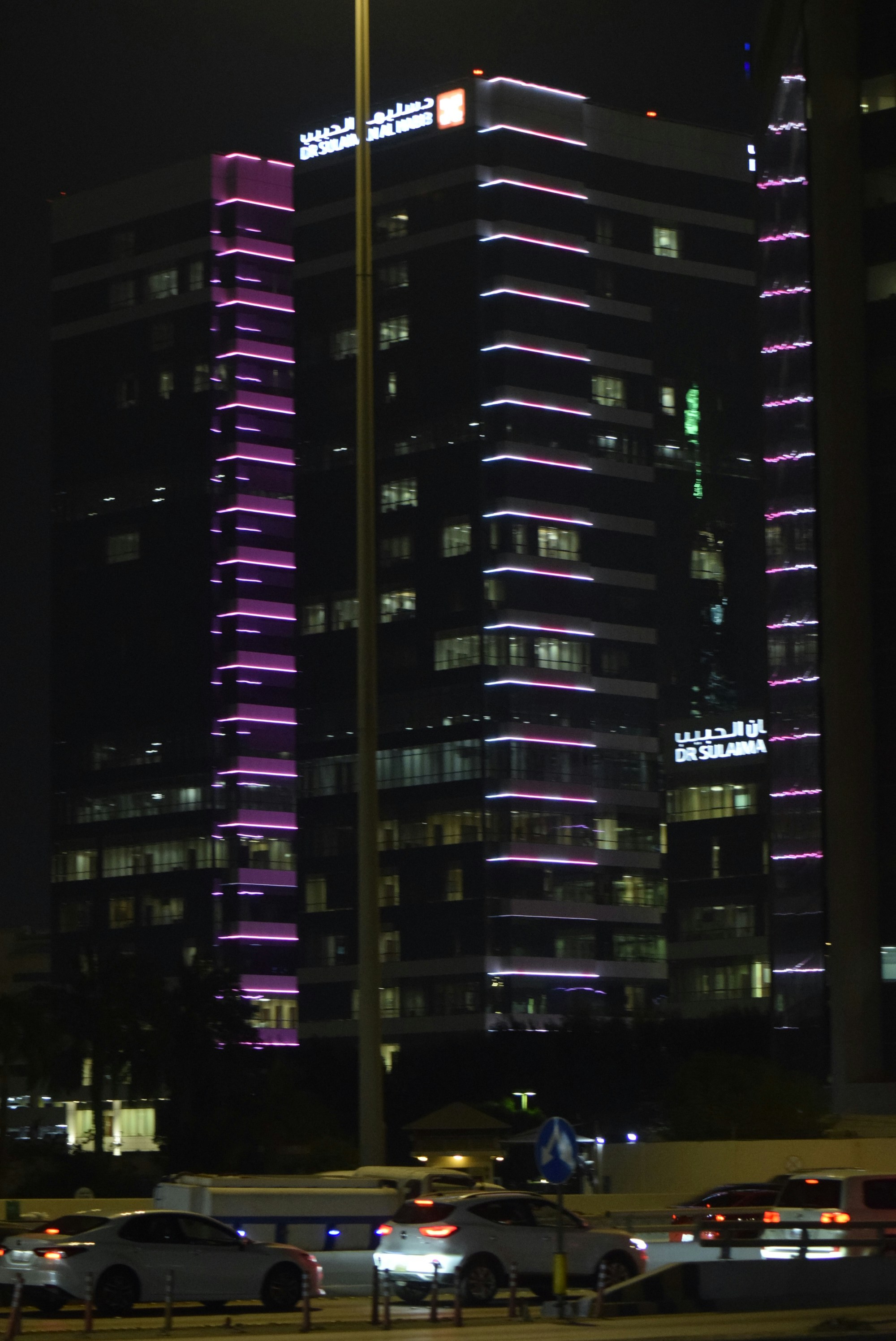 Neon Ribbons Framing a Midnight Skyline