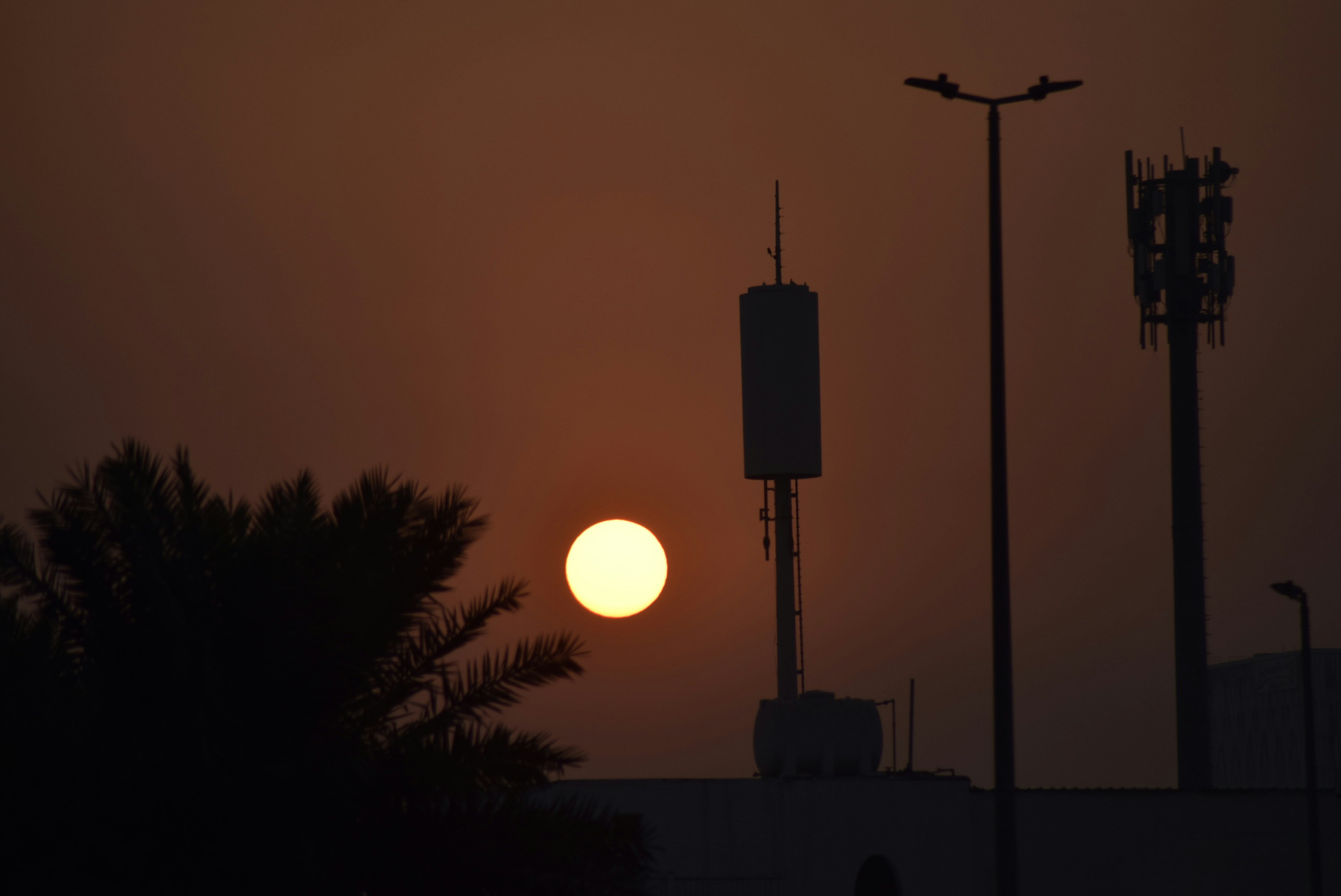 Sunward Silhouettes: A Dusk Orb Between Palm and Tower