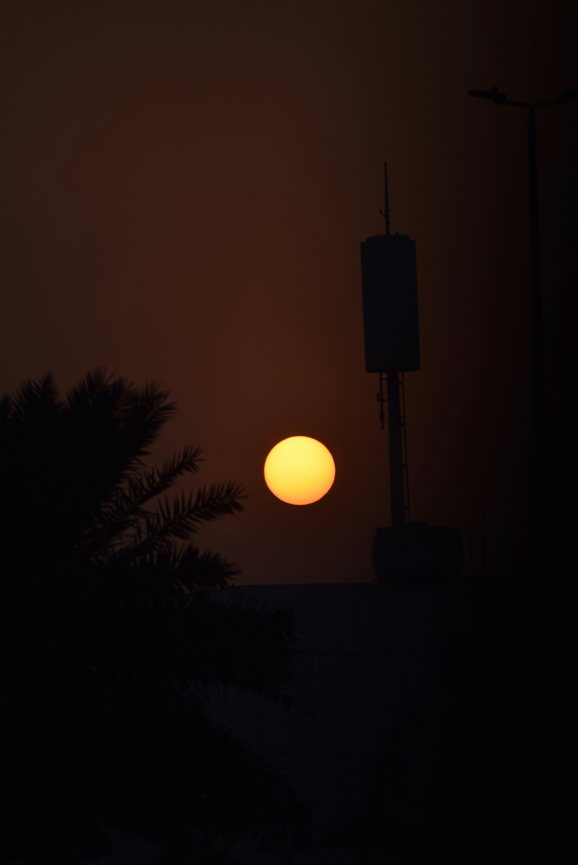 The sun sets behind a silhouetted tower and tree.