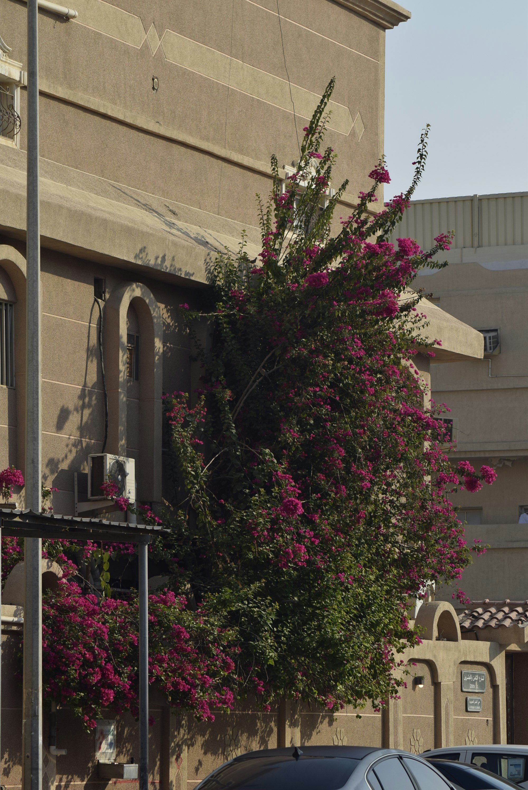 Photo by Jay Openiano with Nikon D5300