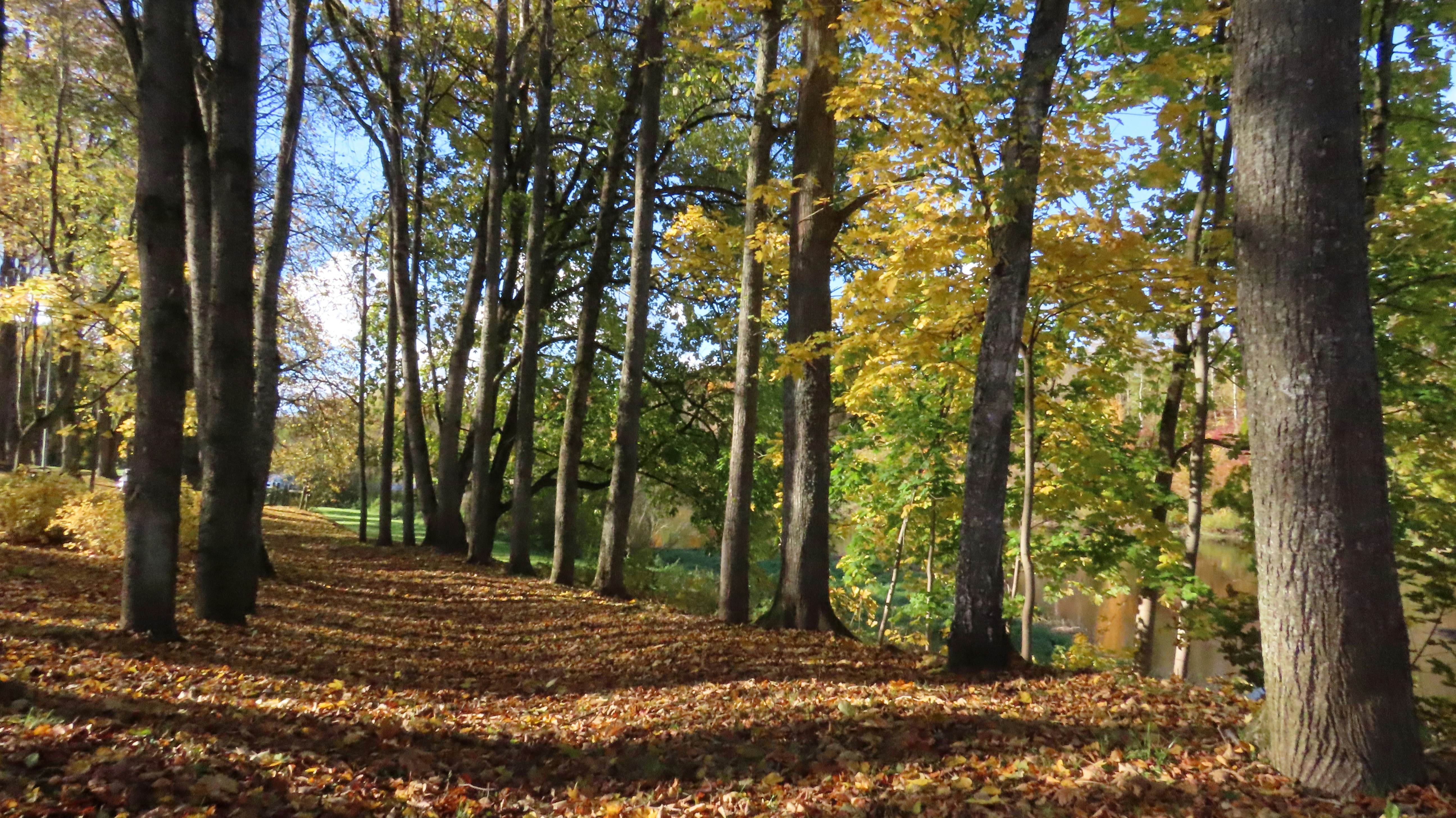 Jianfeng Yang (@james_demingxu) | Unsplash 사진 커뮤니티