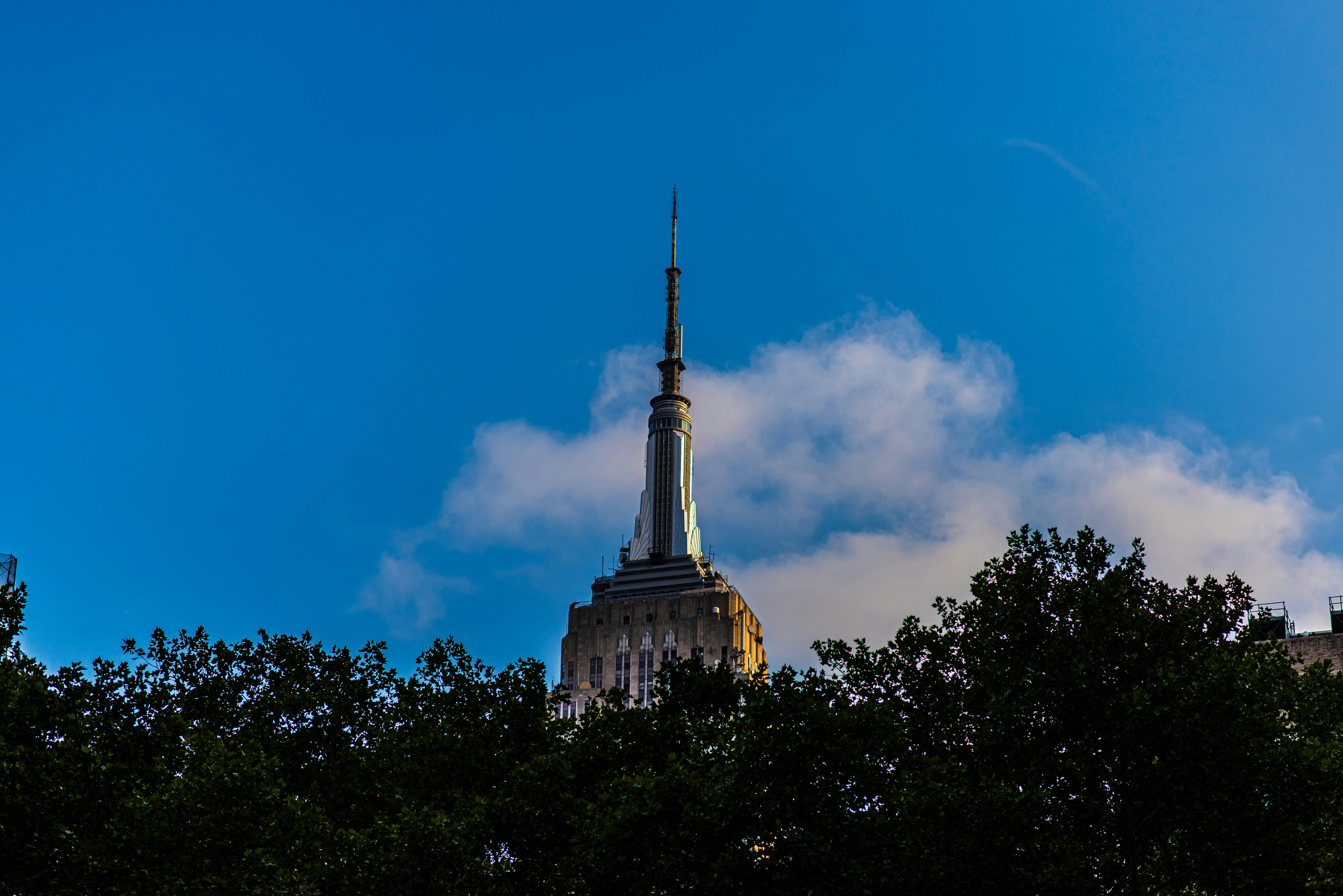 Empire State Building seen above the trees of Bryant Park. | Empire state building peeking through green trees