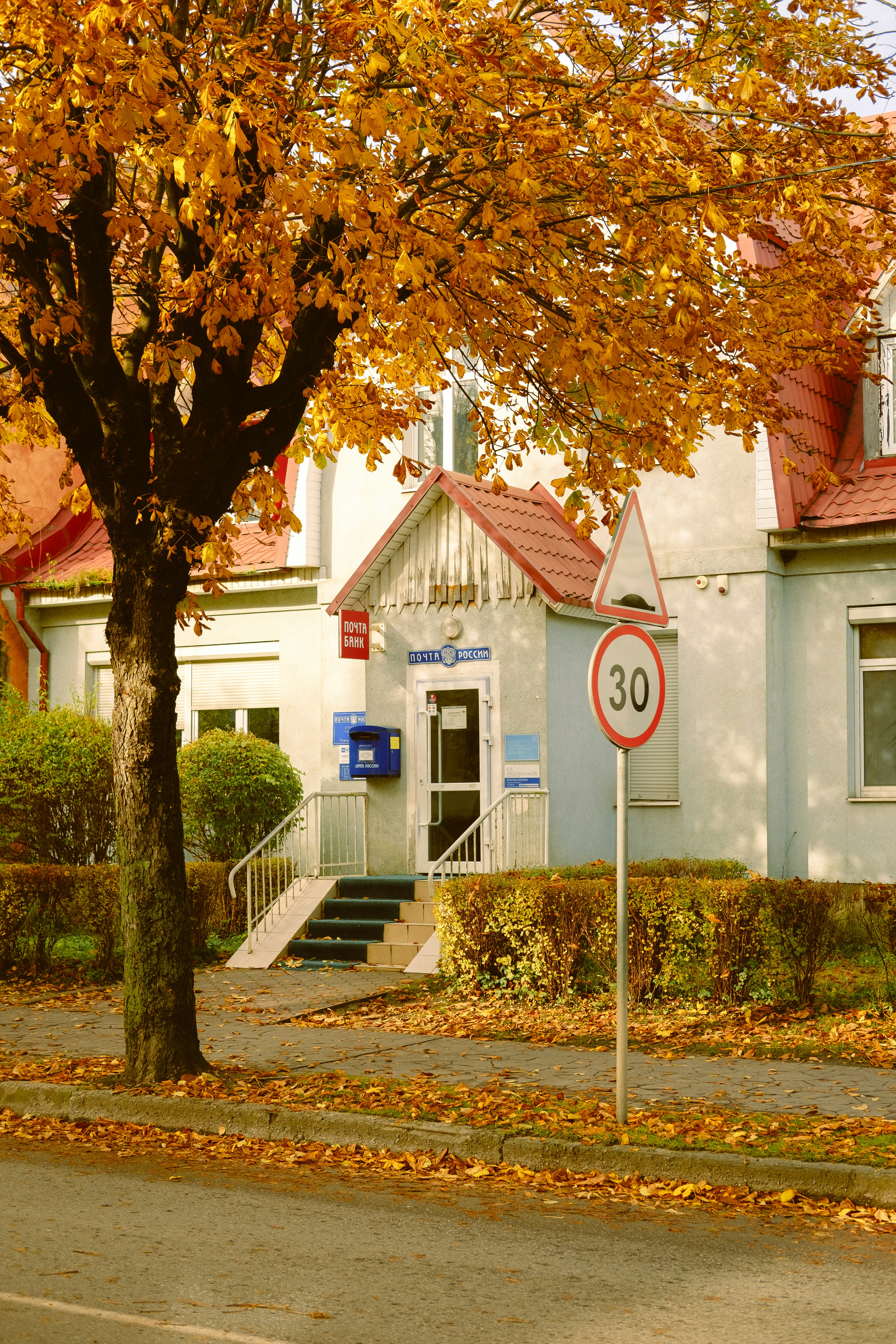 Building entrance with autumn trees and fallen leaves.
