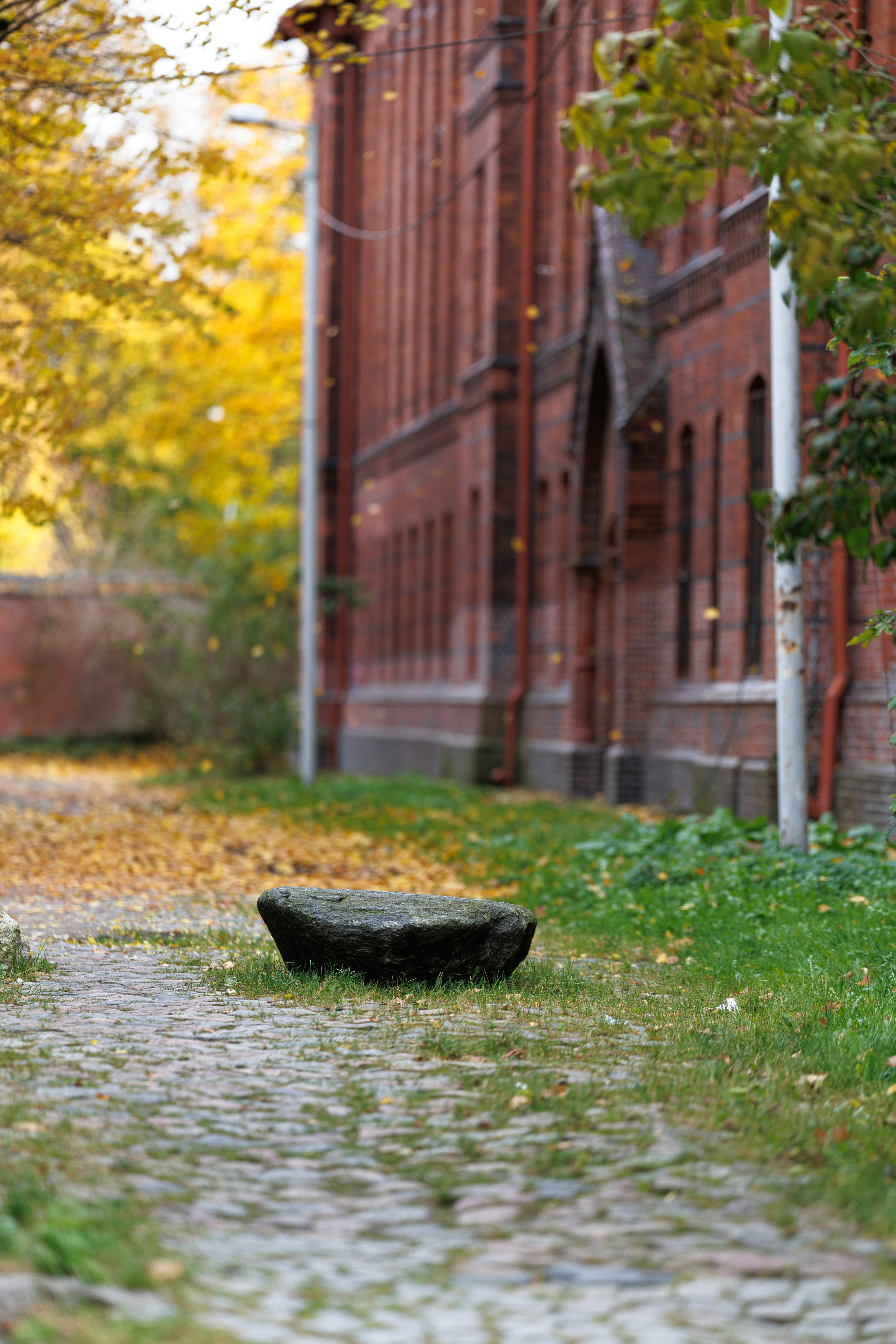 Whispers of Autumn: A Stone's Solitude