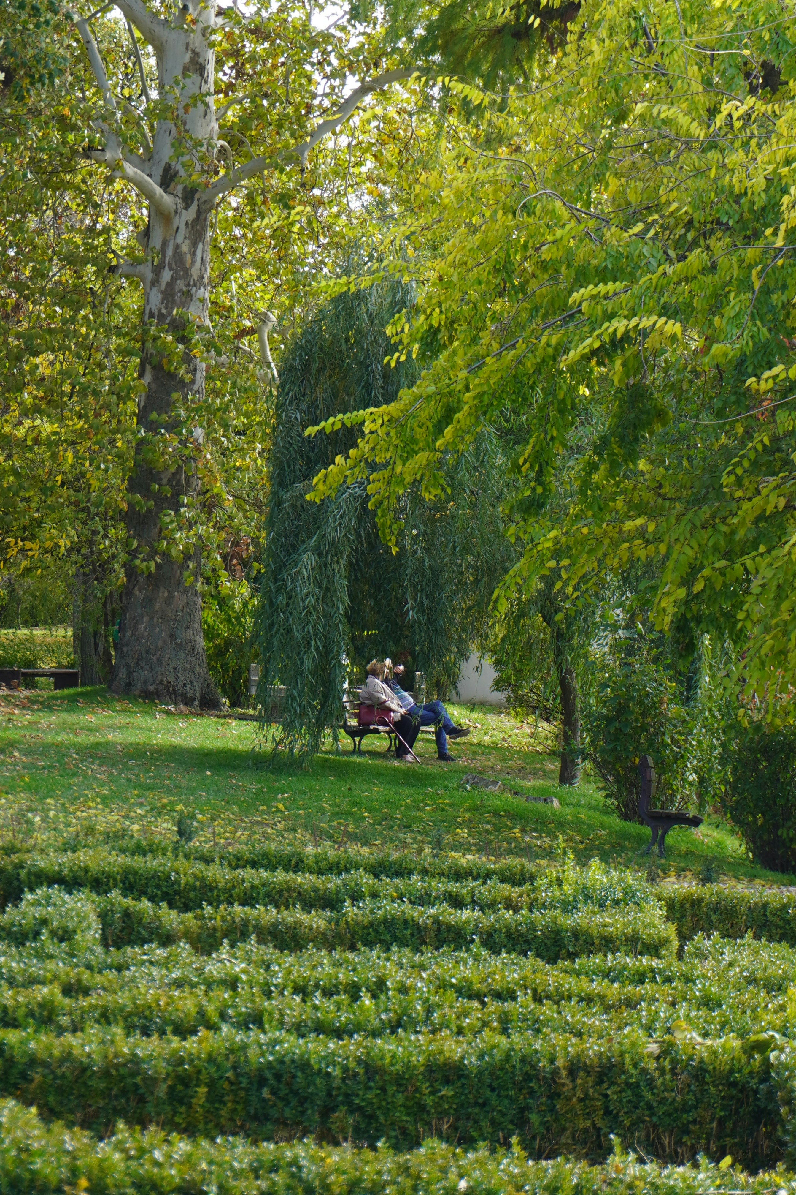 Two individuals relaxing on a bench surrounded by lush greenery and intricate hedges in a tranquil park setting.