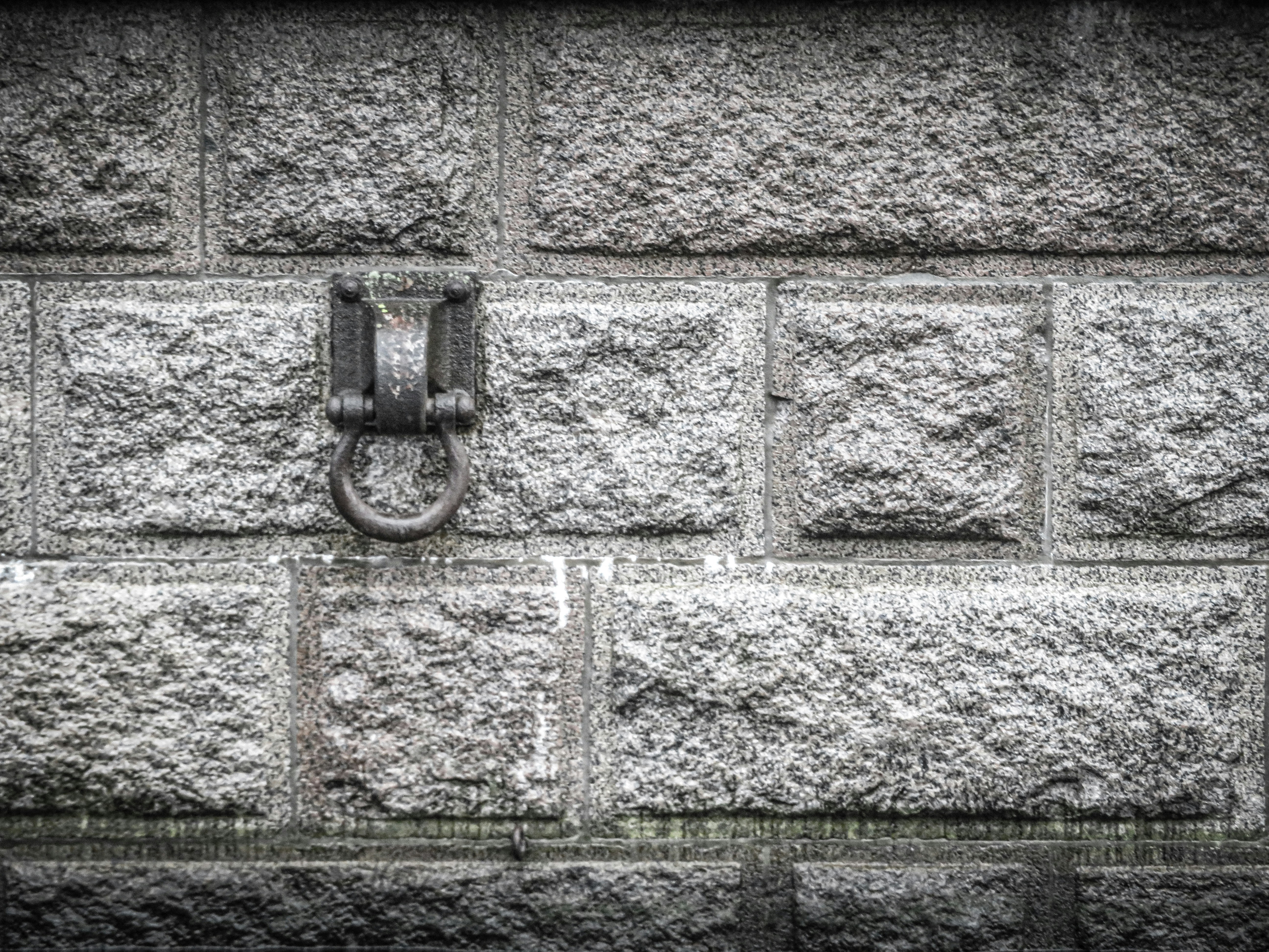 Rustic Resilience: The Forgotten Hook